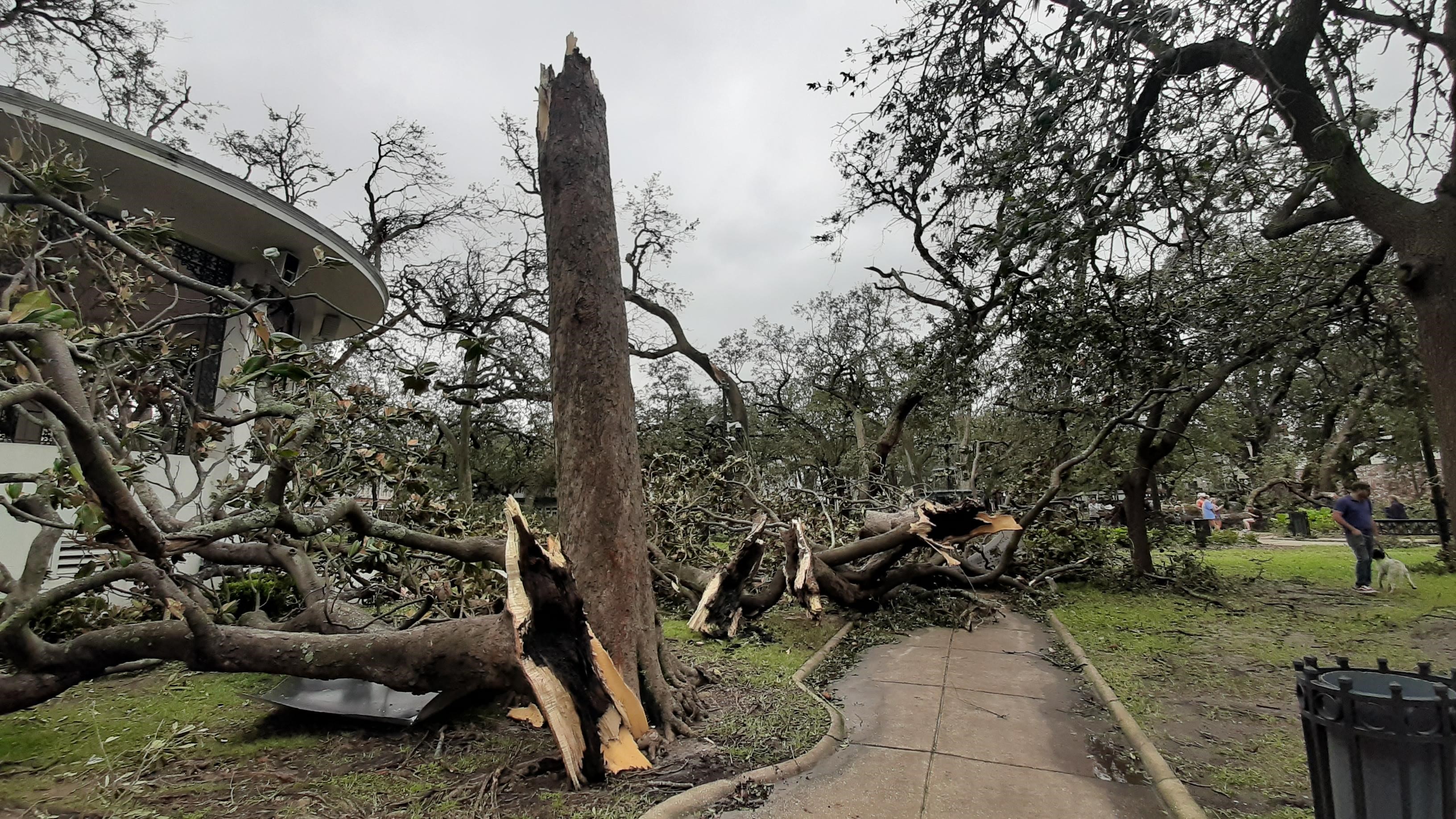 Hurricane Sally damage in coastal Alabama - pennlive.com