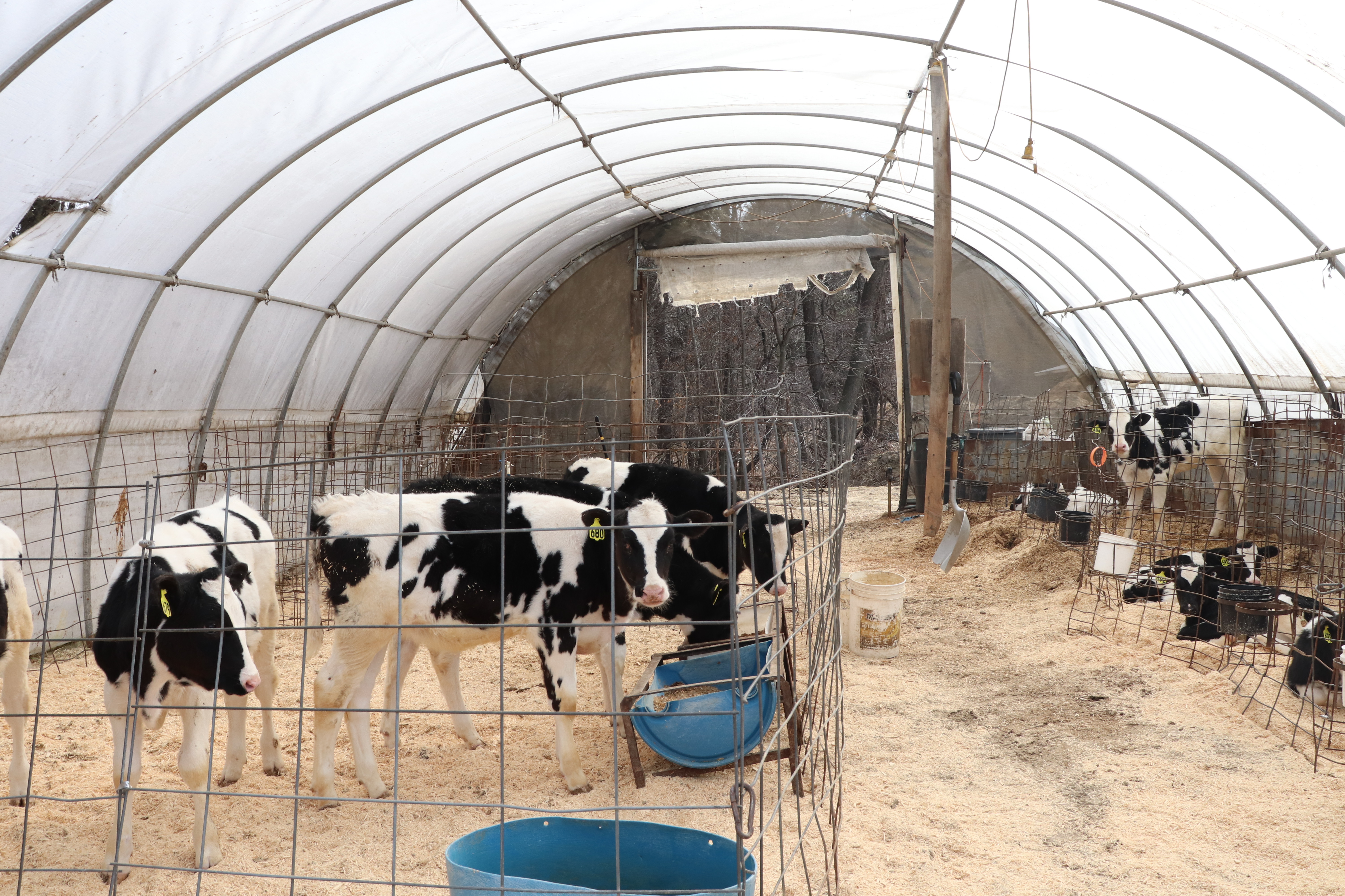 Smith's Country Cheese in Winchendon - masslive.com