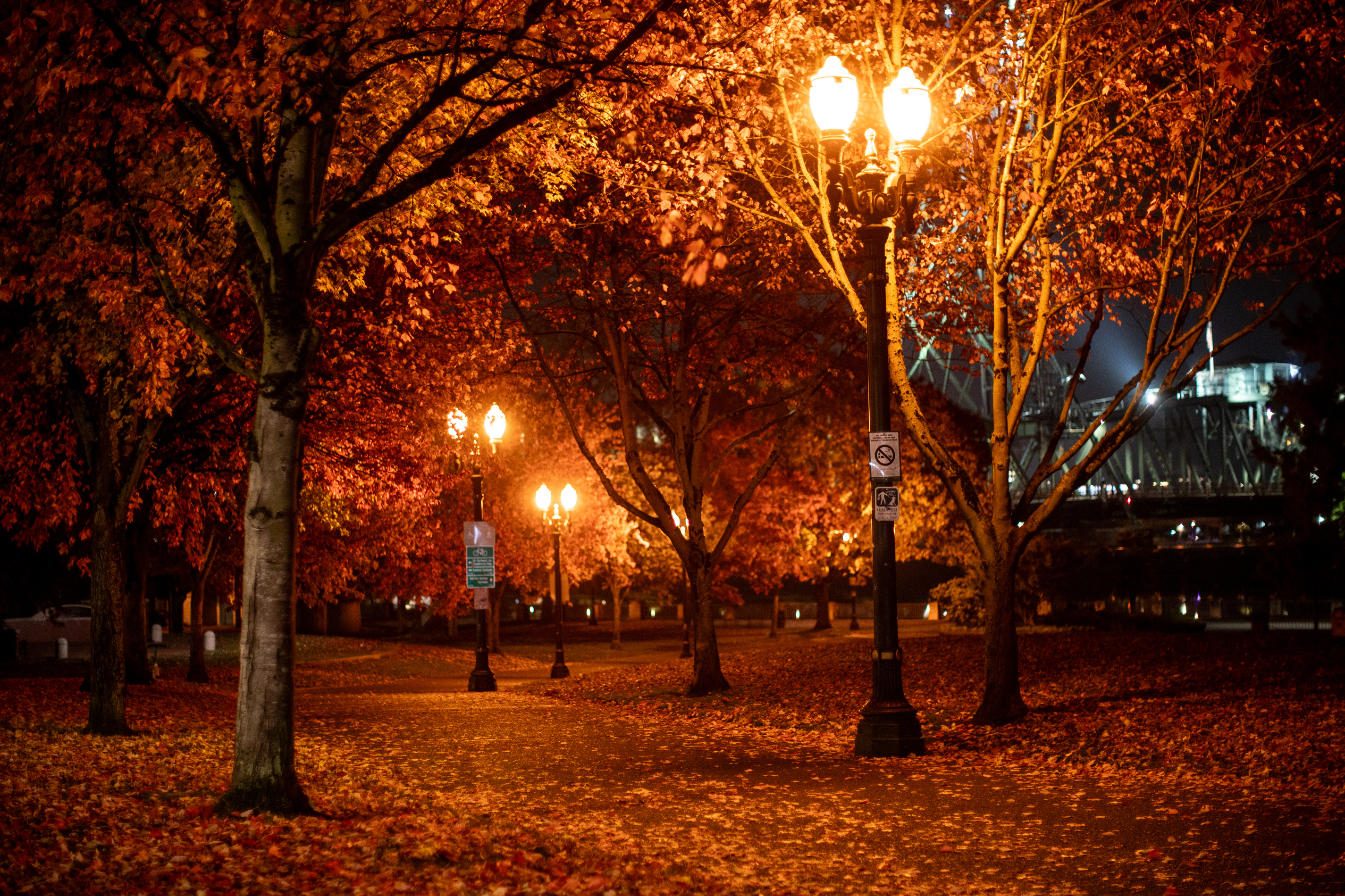 A fall Portland night November 7, 2024 - oregonlive.com