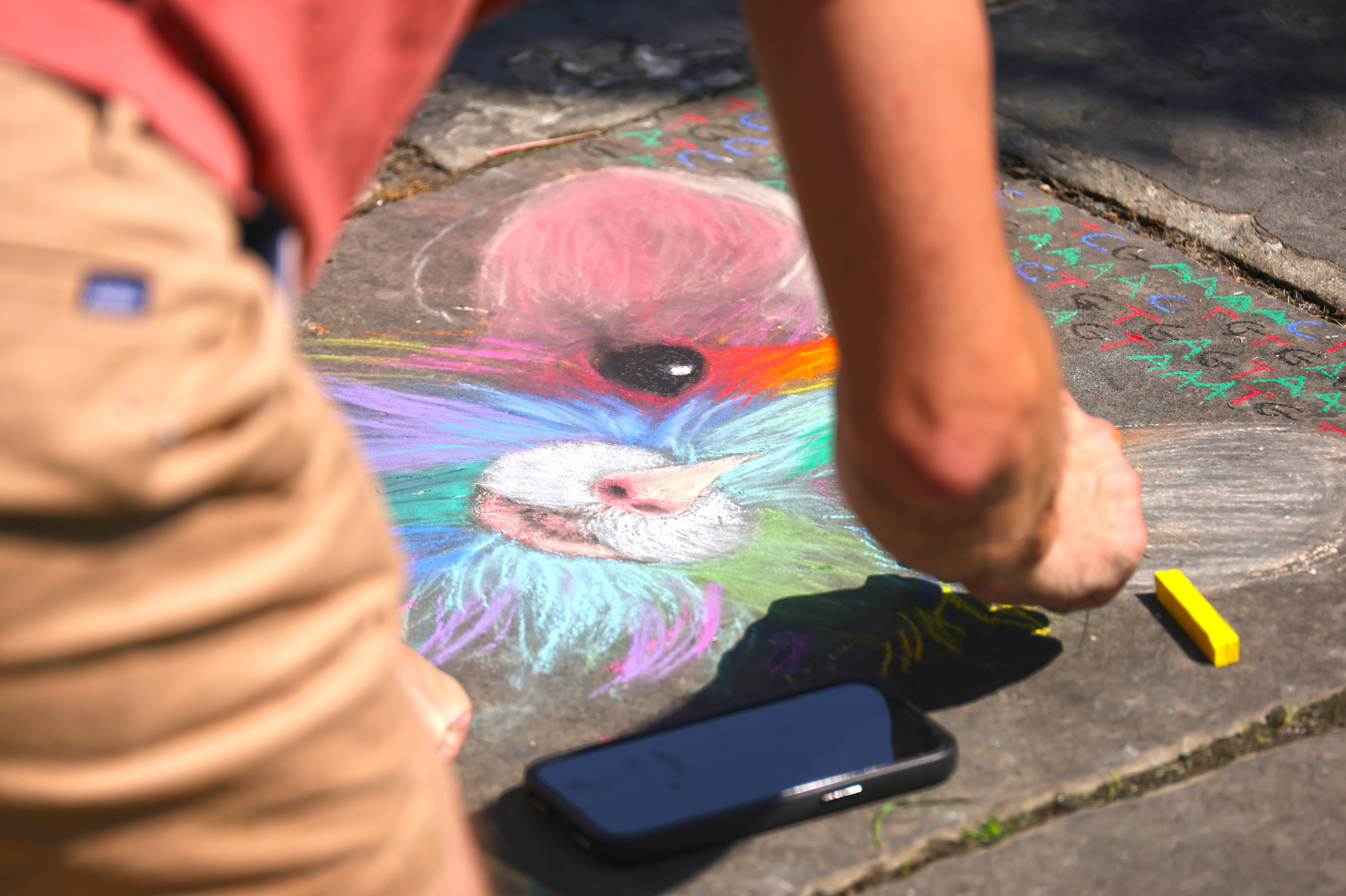 Chalk Festival at the Cleveland Museum of Art - cleveland.com