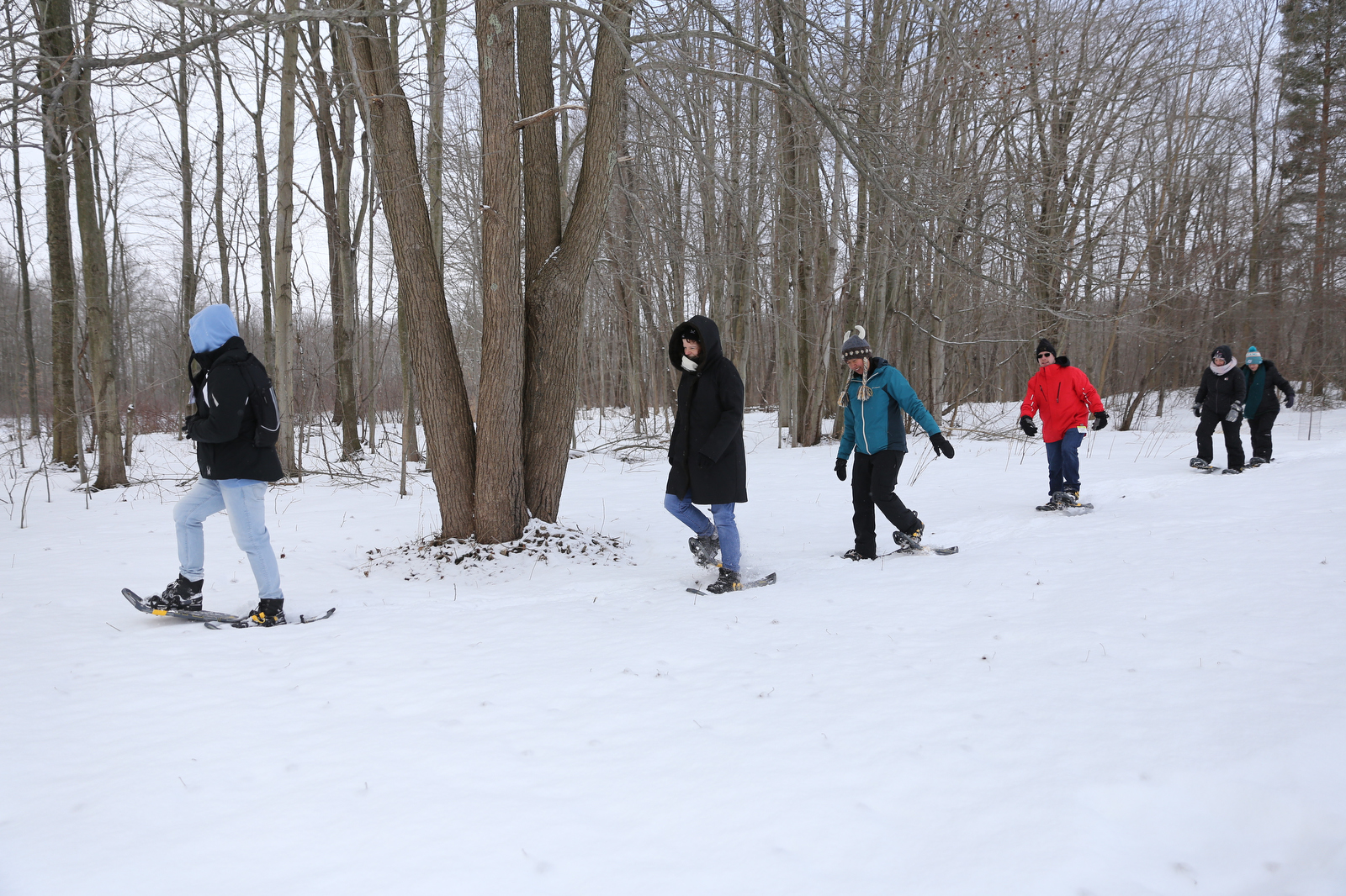Cross-country skiing and snowshoeing around Northeast Ohio - cleveland.com