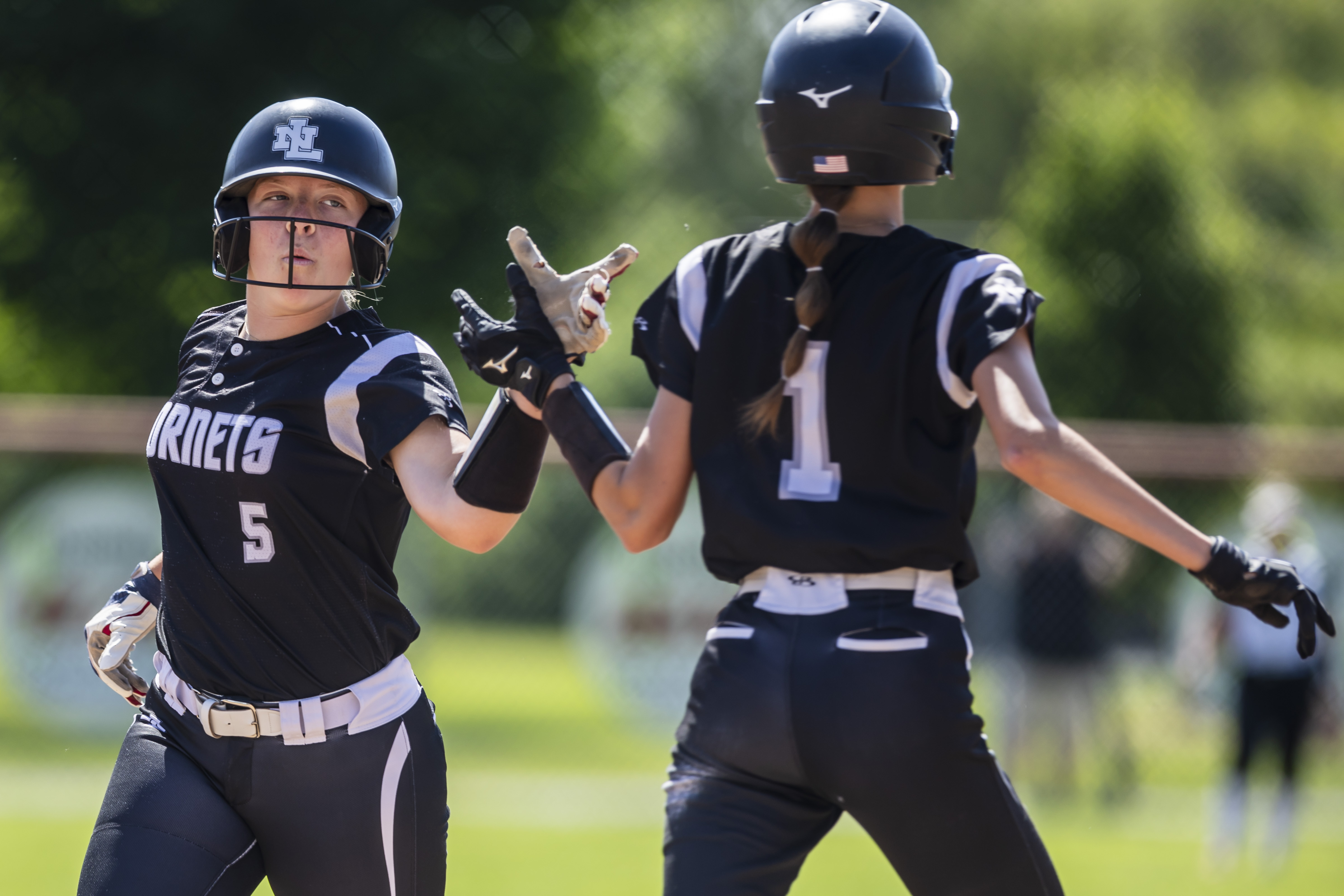 Clare softball defeats New Lothrop in quarterfinal game - mlive.com