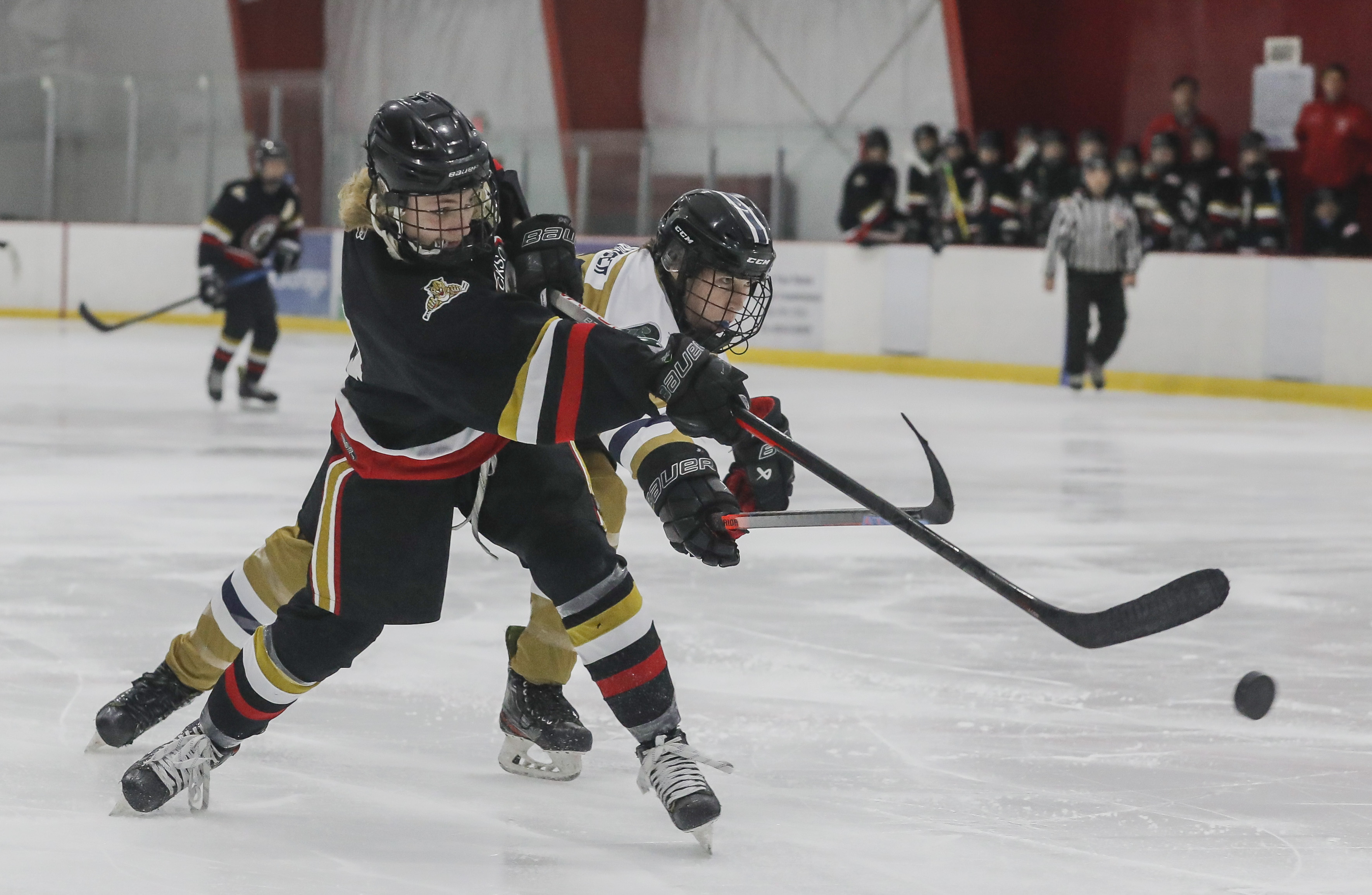 Boys Ice Hockey: Jackson Liberty defeats Freehold Borough on January 9 ...