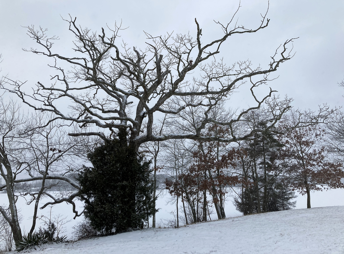 Snowfall arrives to start what could be a major storm in New Jersey ...