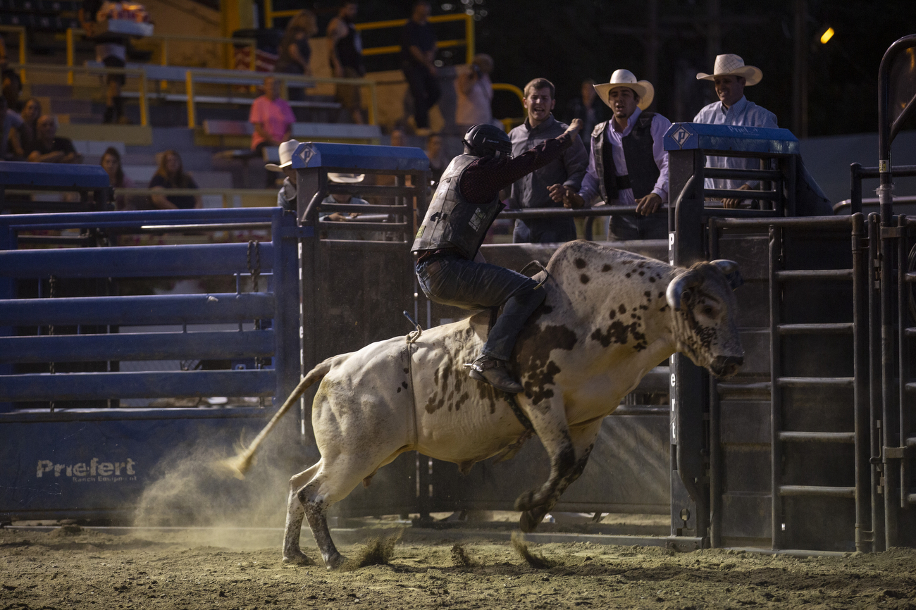 Twisted P Rodeo - mlive.com