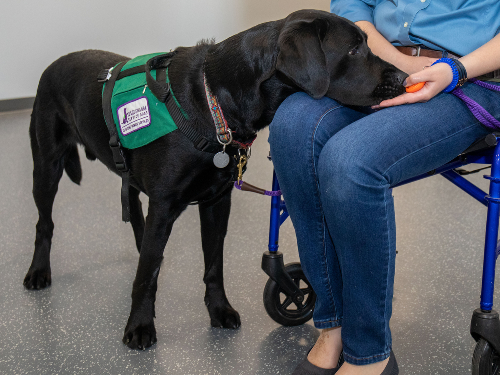 Susquehanna Service Dogs opens new training center in East Hanover ...