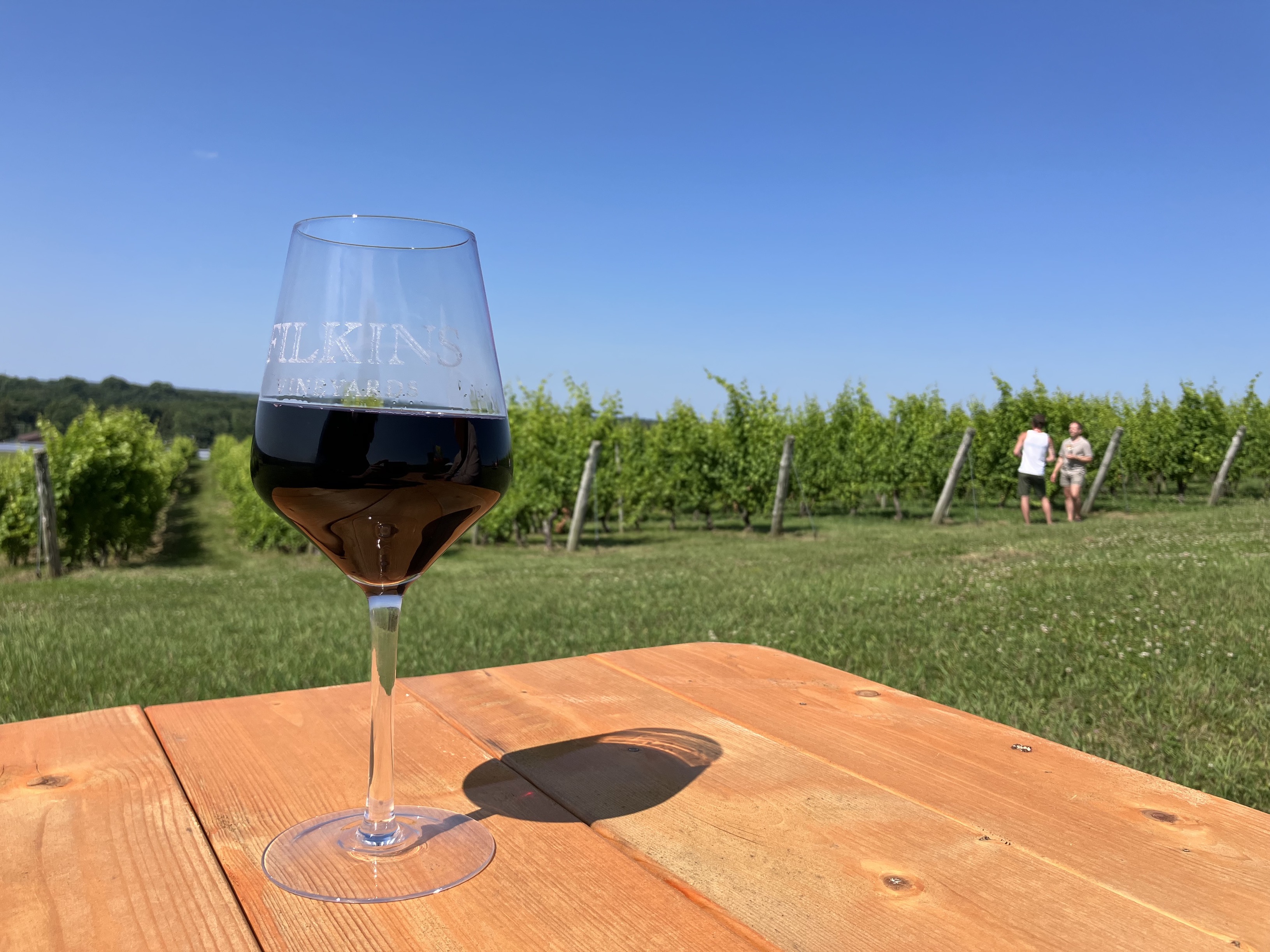 Rock star buys Southwest Michigan vineyard - mlive.com