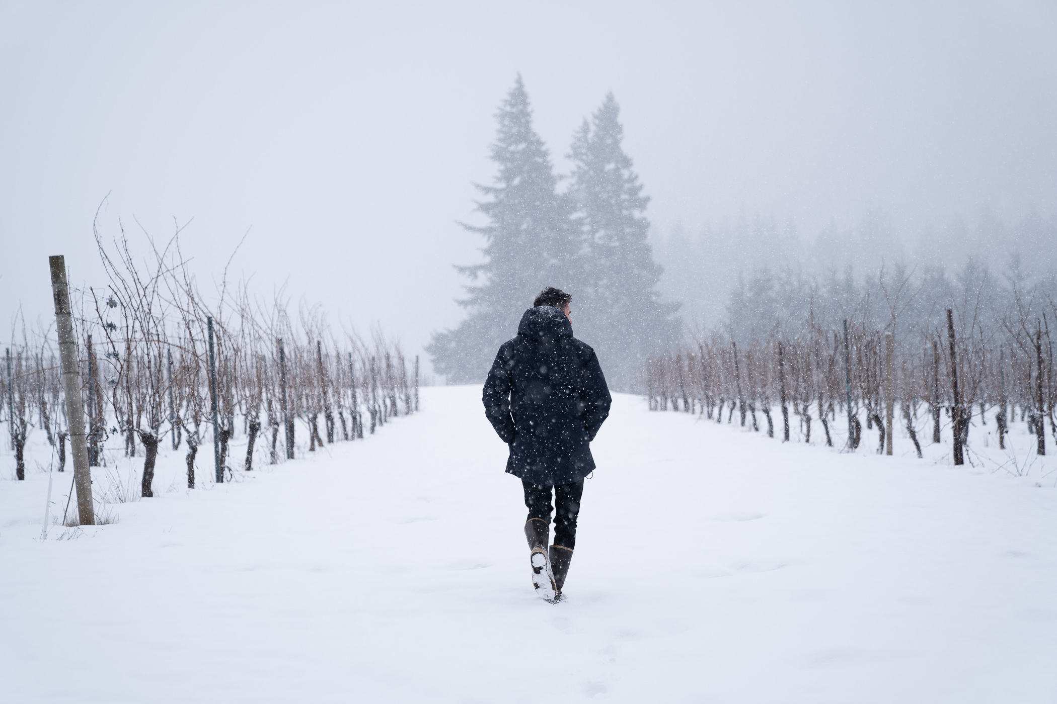 Winery spotlight: Buona Notte - oregonlive.com
