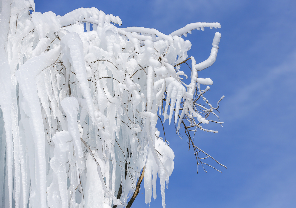 Stellar's Ice Tree in Schnecksville - lehighvalleylive.com
