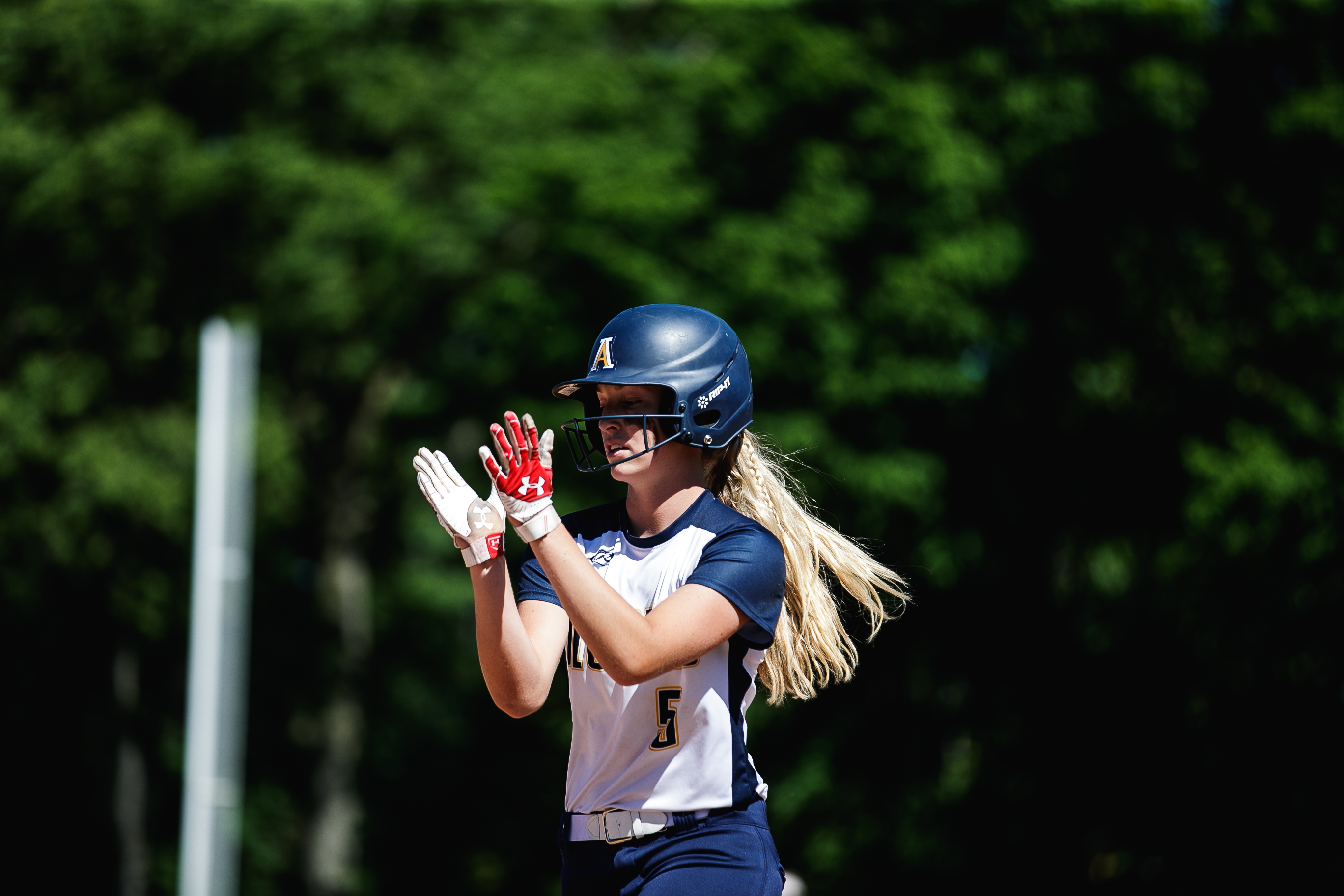 Algonac plays against Millington for the Division 3 MHSAA varsity ...