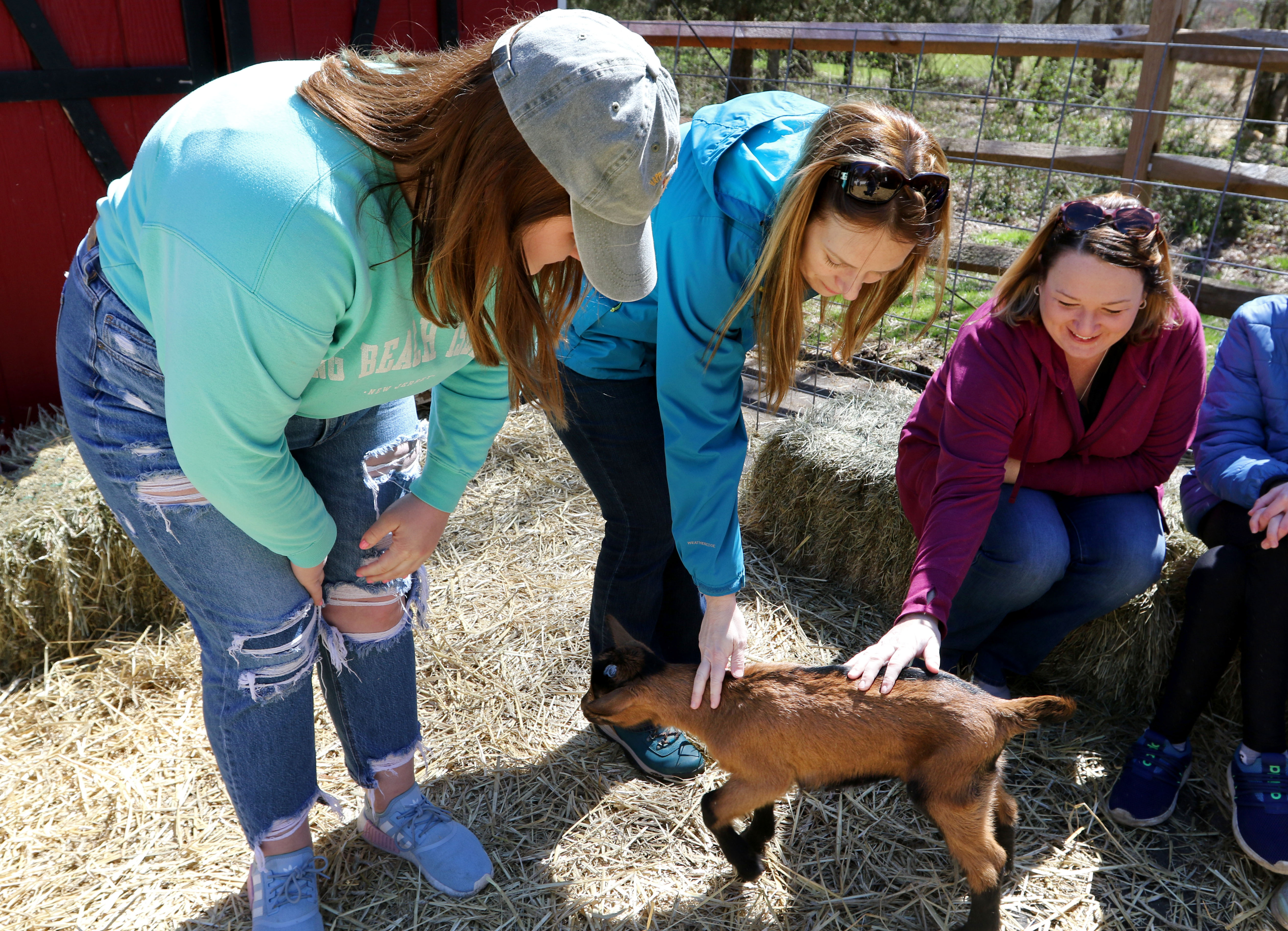 Visitors bottle fed newborn goats at The Bubbly Goat Farm - nj.com
