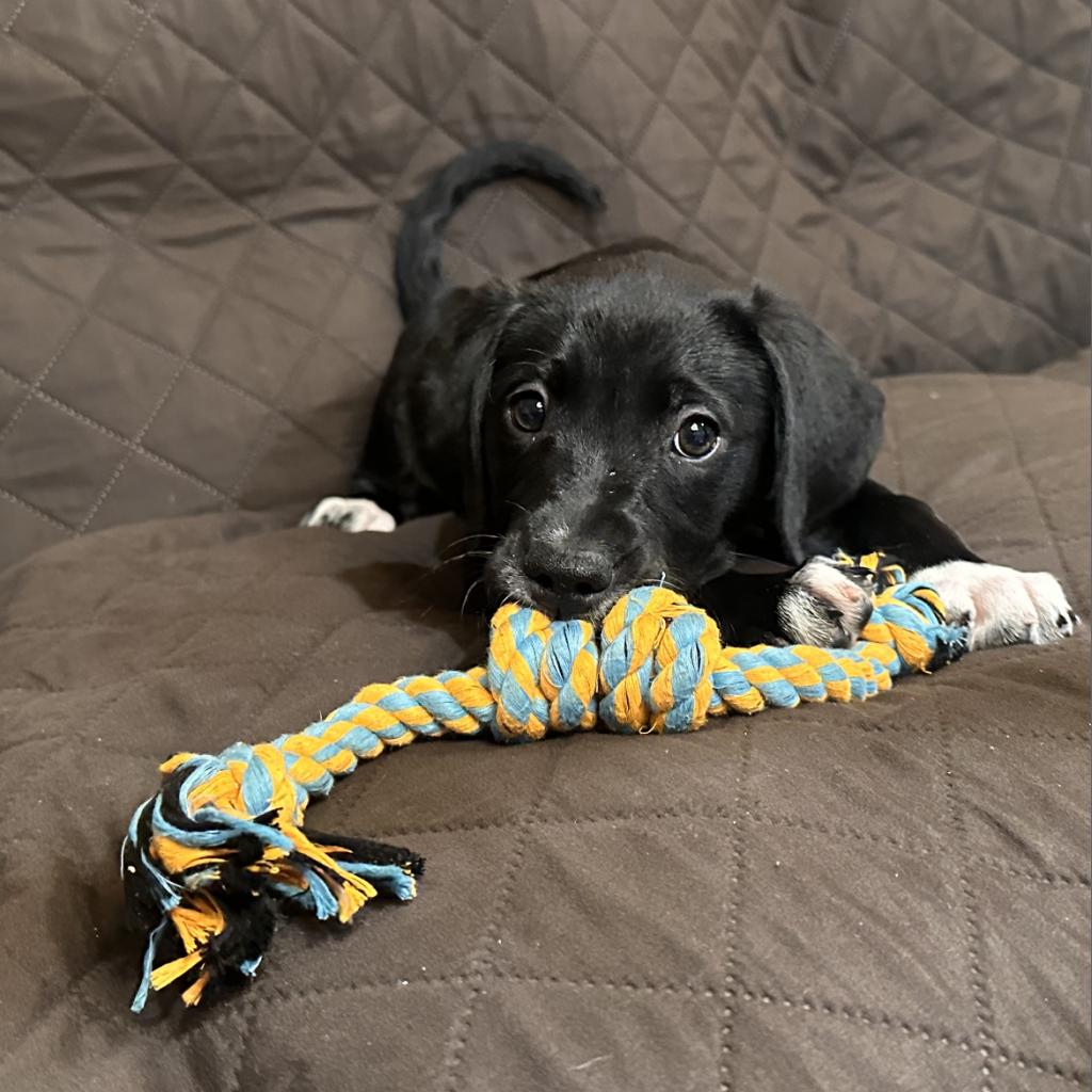 What are your plans for the weekend? How about meeting one of these ...