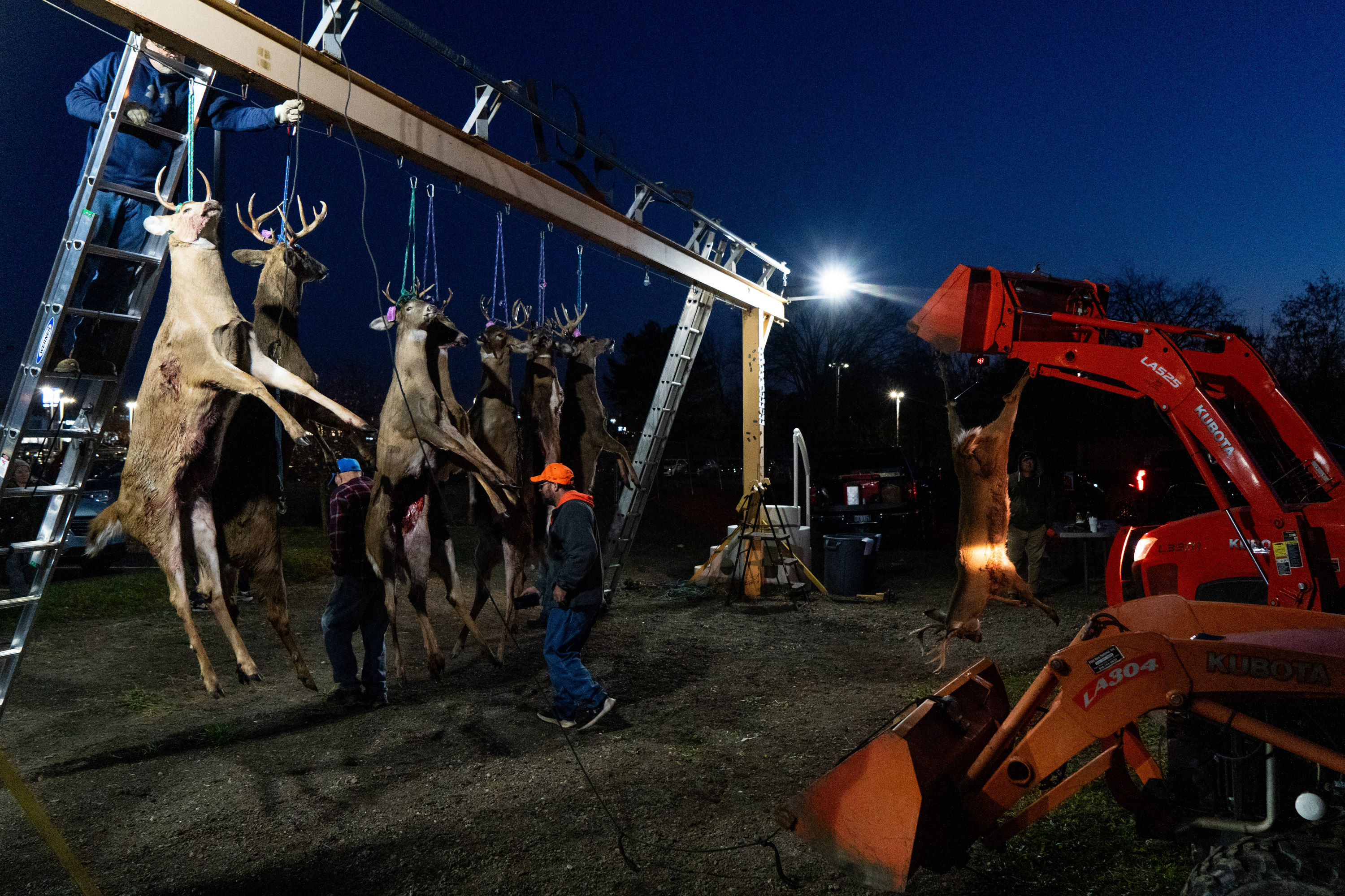 Hunters make their way to the buck poles on opening day - mlive.com