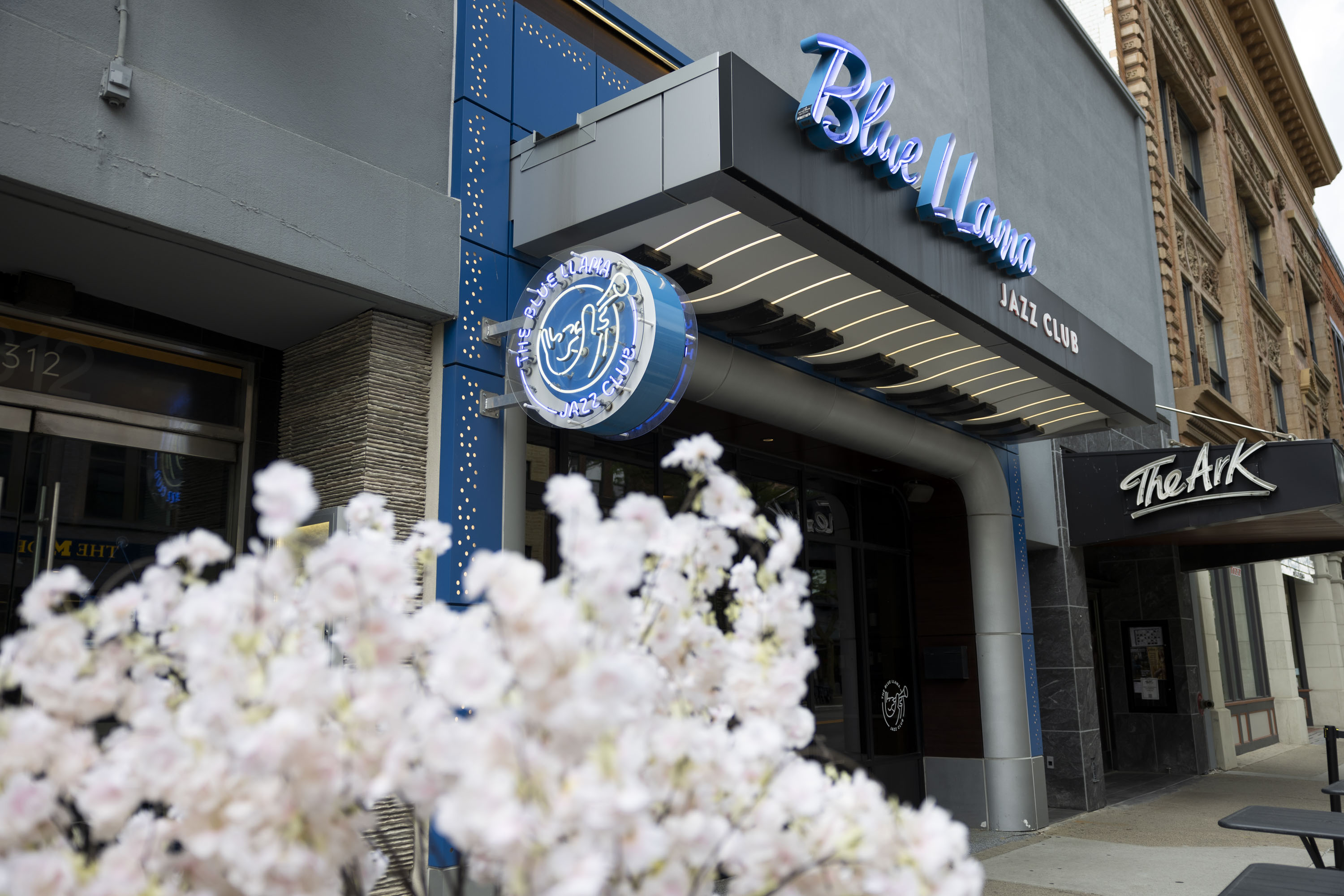 Michigan's Best Local Eats: Blue Llama Jazz Club - mlive.com