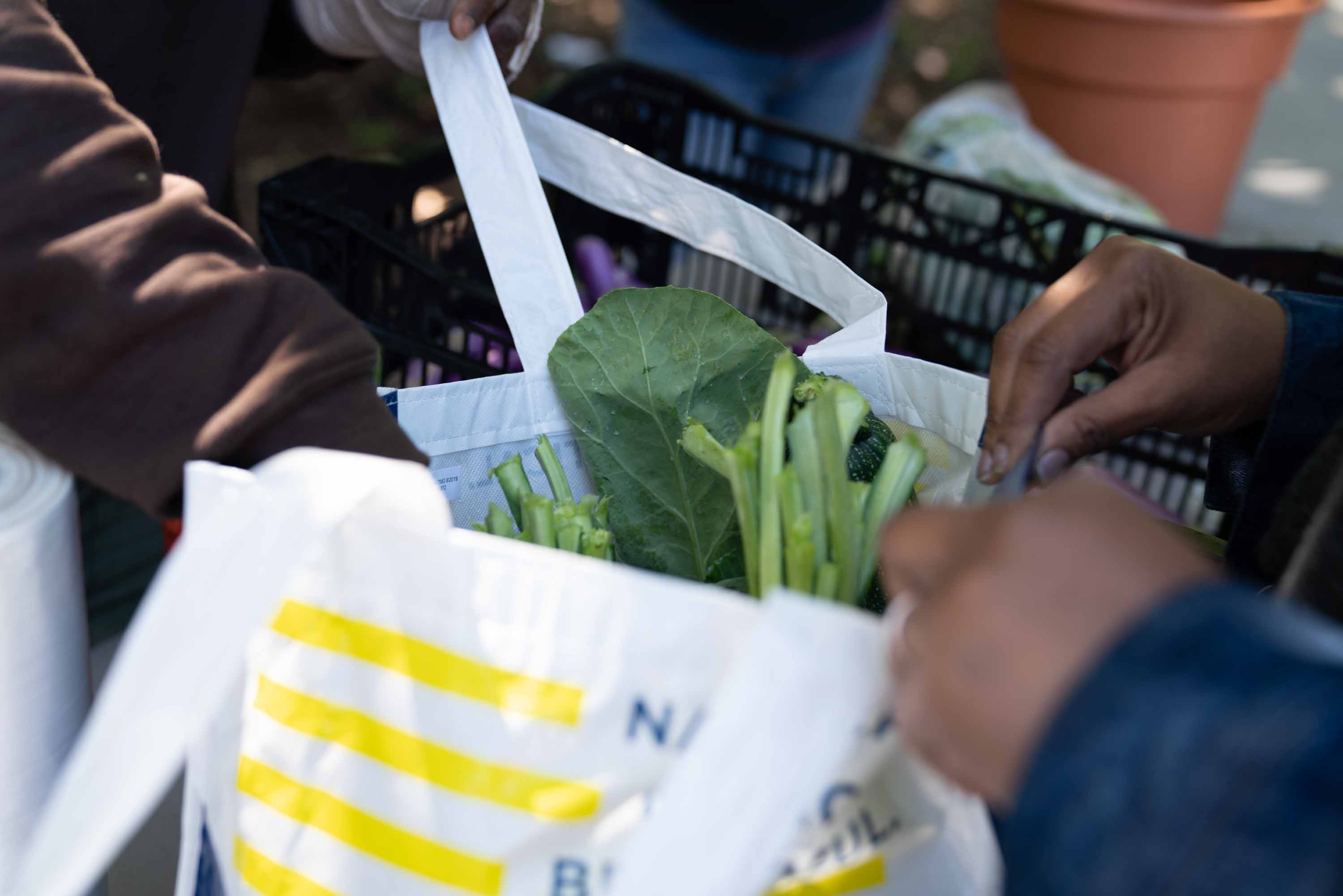 SI Food Justice Ride - silive.com
