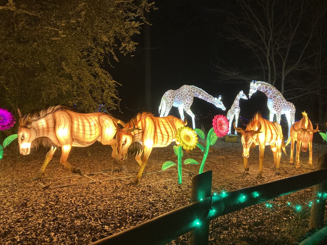 Glow Wild at Birmingham Zoo - al.com