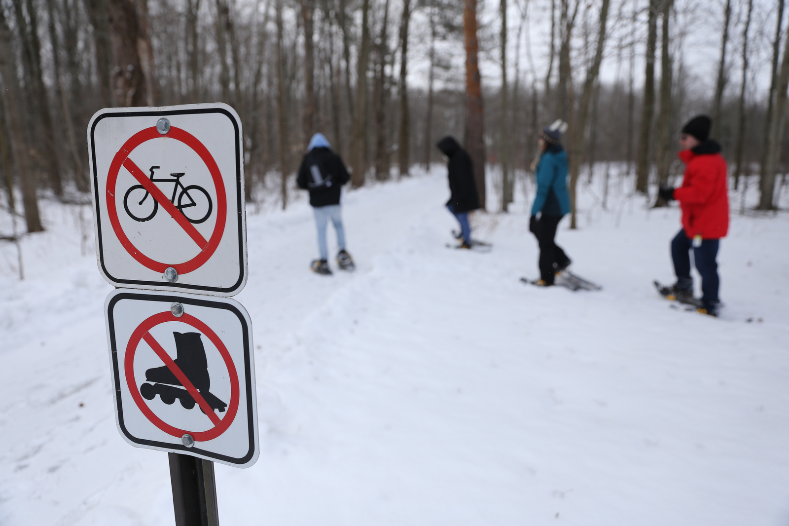 Cross-country skiing and snowshoeing around Northeast Ohio - cleveland.com