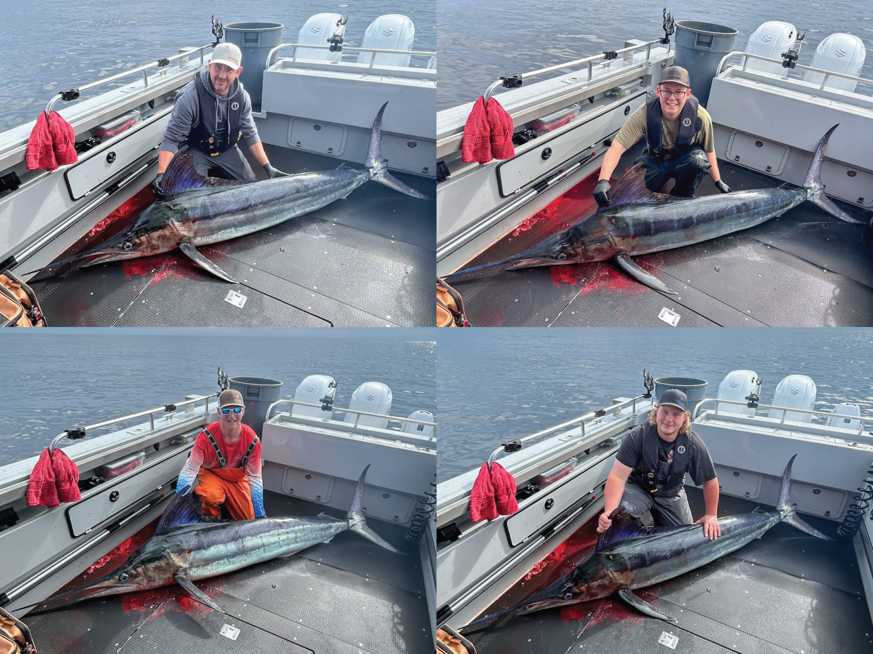 Hyper rare striped Marlin caught off Oregon's coast - oregonlive.com