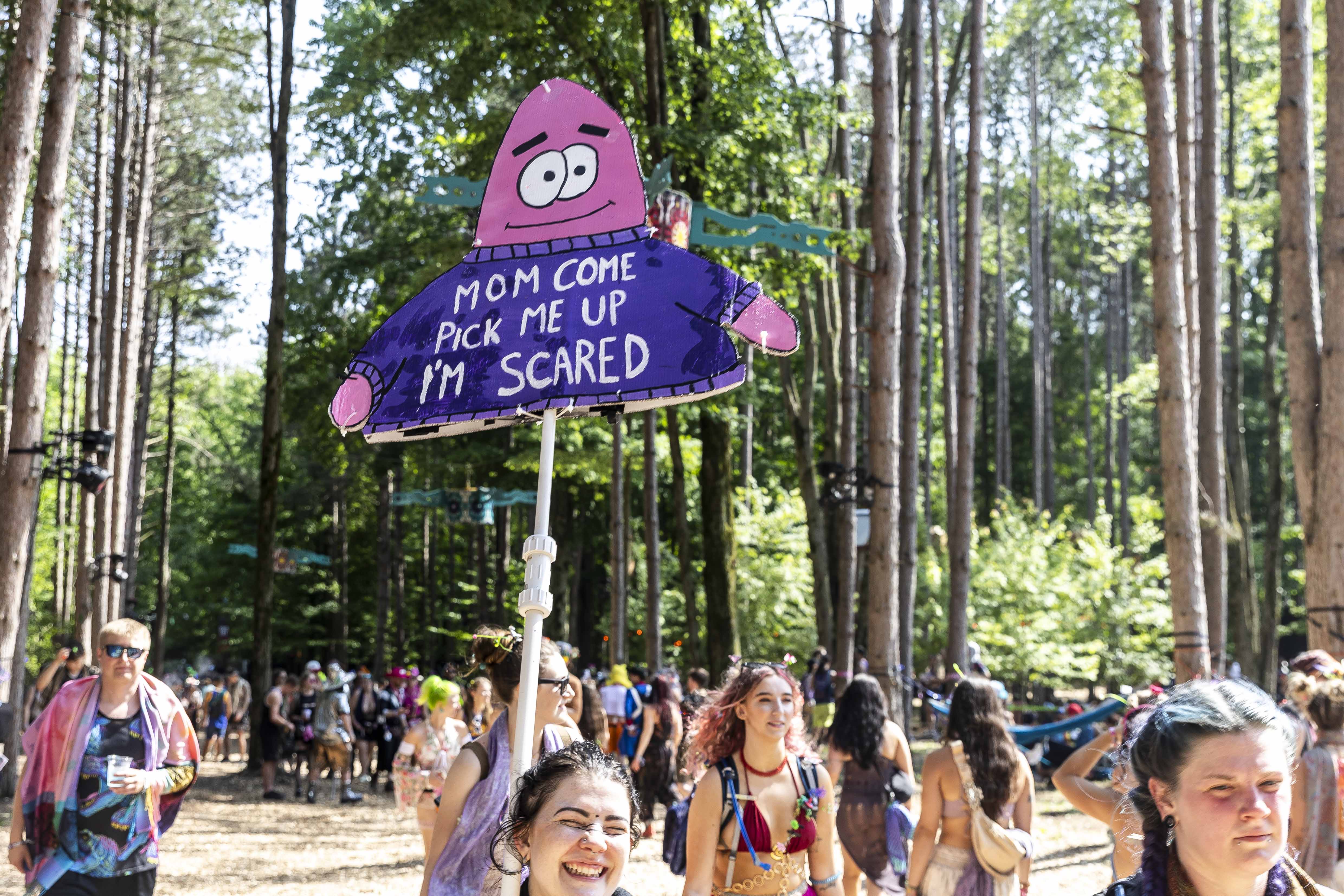Creative and unique totems from Electric Forest 2025 - mlive.com