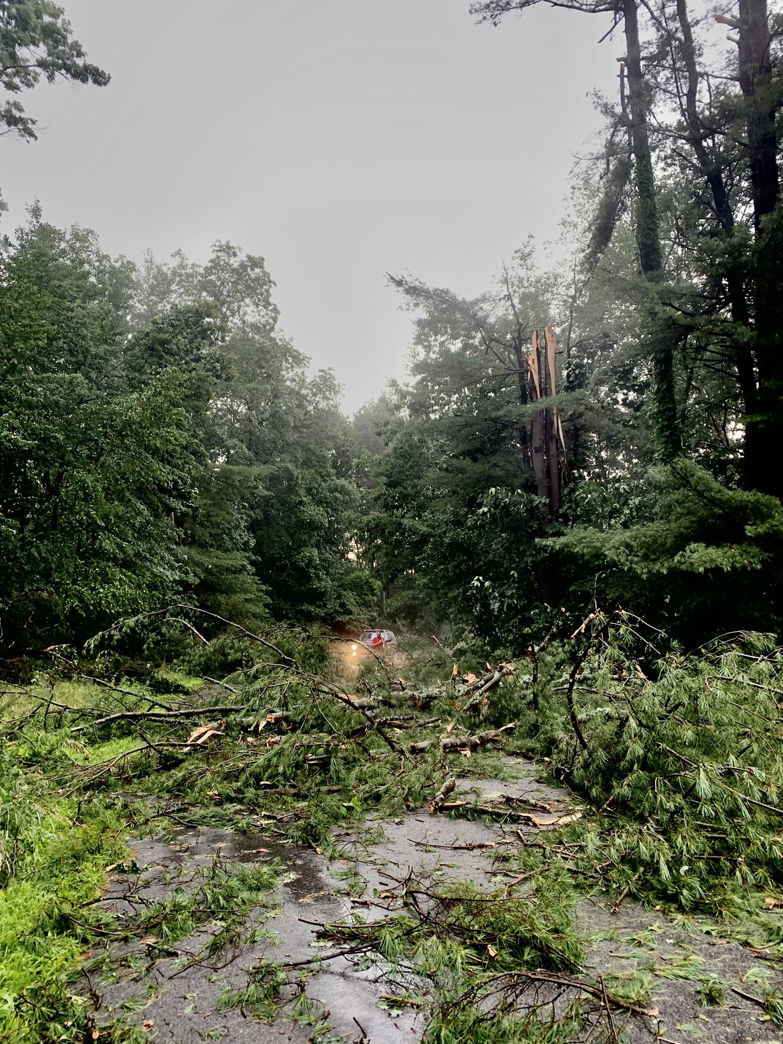 See the damage from Wednesday's storm in Massachusetts - masslive.com