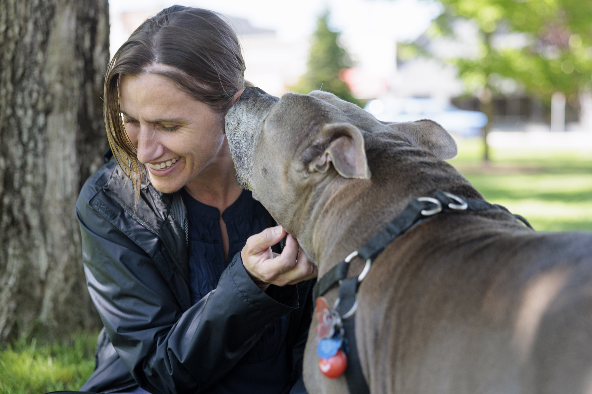 Lap of Love Veterinary Hospice offers end-of-life care for Ann Arbor ...