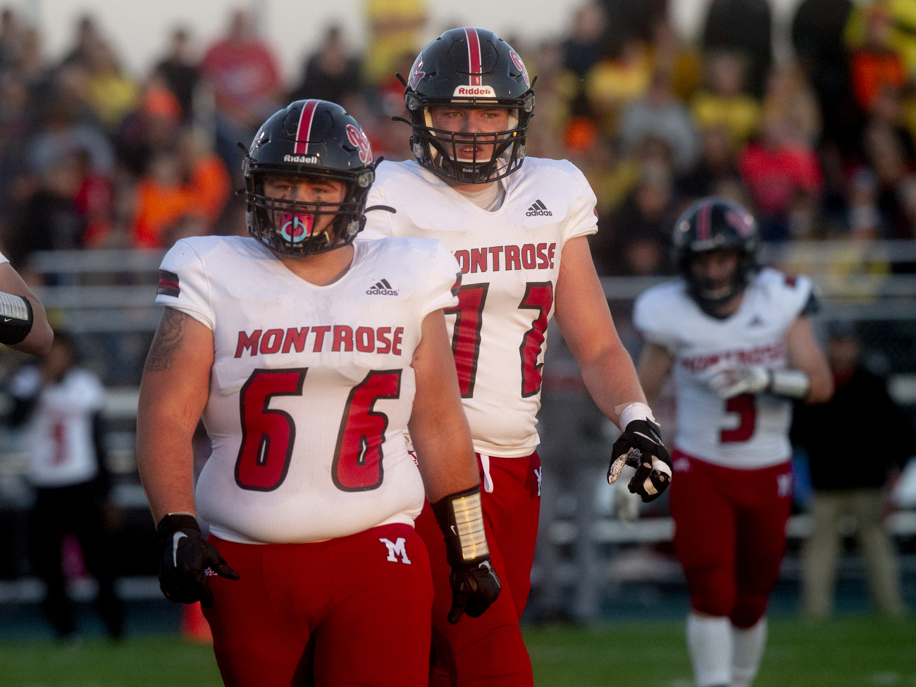 Montrose defeats New Lothrop football in Week 5 matchup - mlive.com