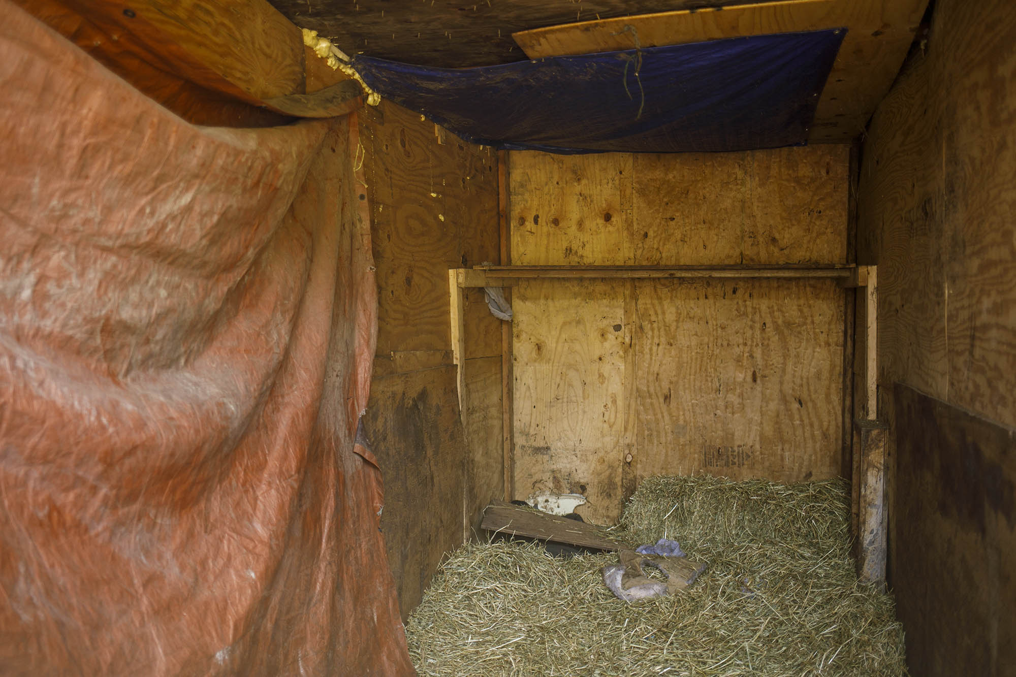 Animal filled school bus and makeshift trailer found in Adams County ...