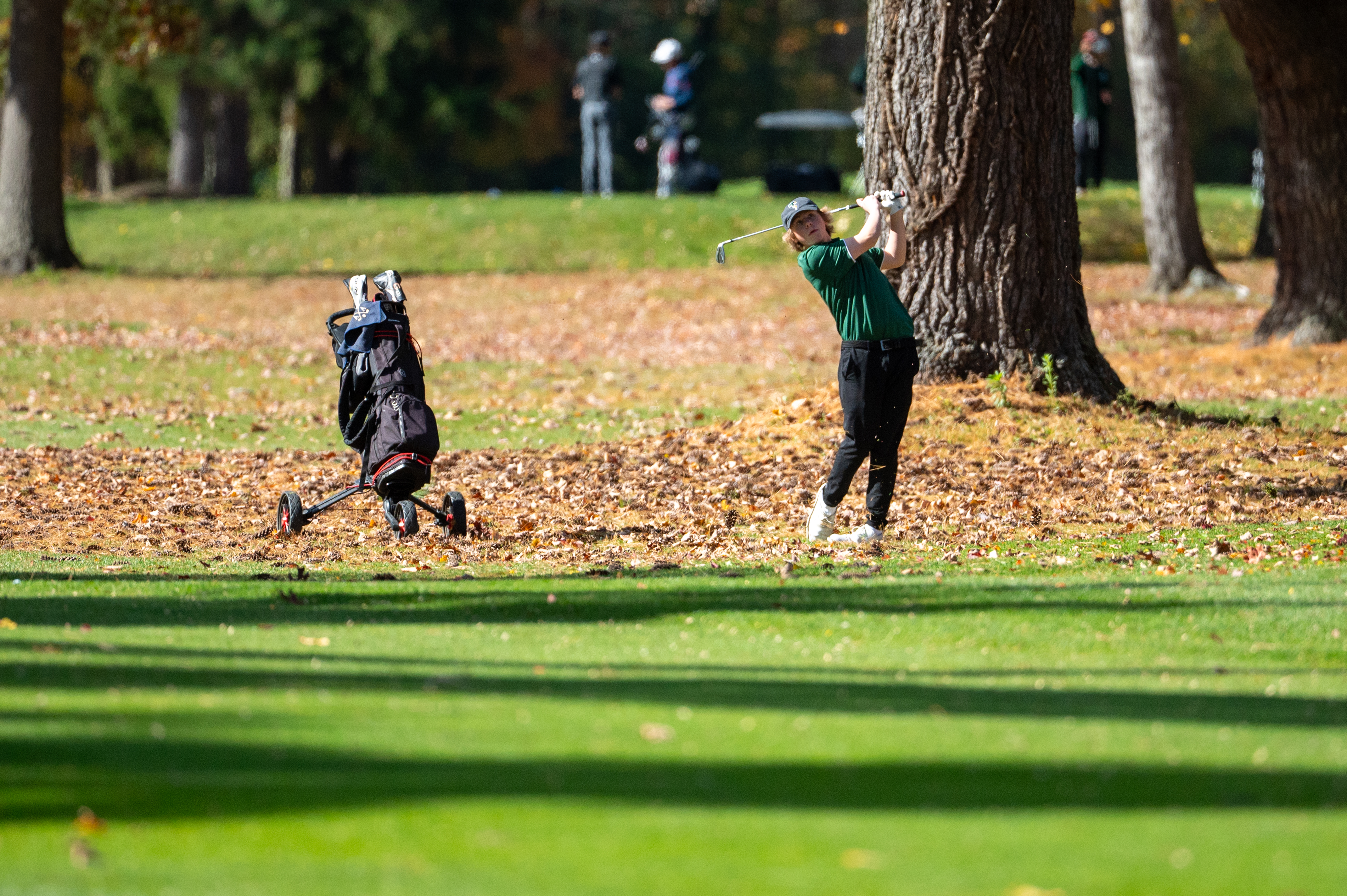 WMass D-I Championship: Longmeadow golf team, Ryan Downes claims titles ...