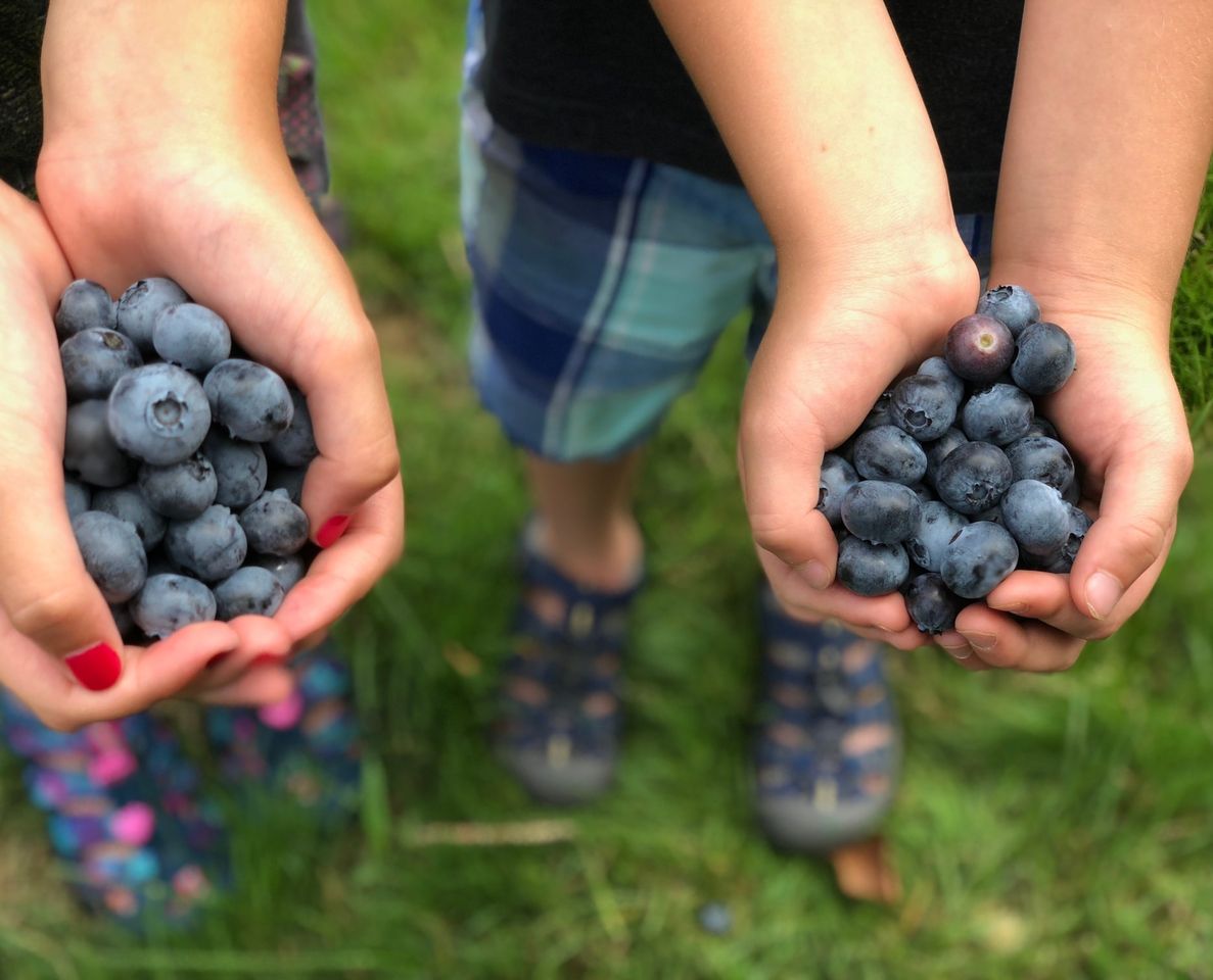 Tougas Family Farm - masslive.com