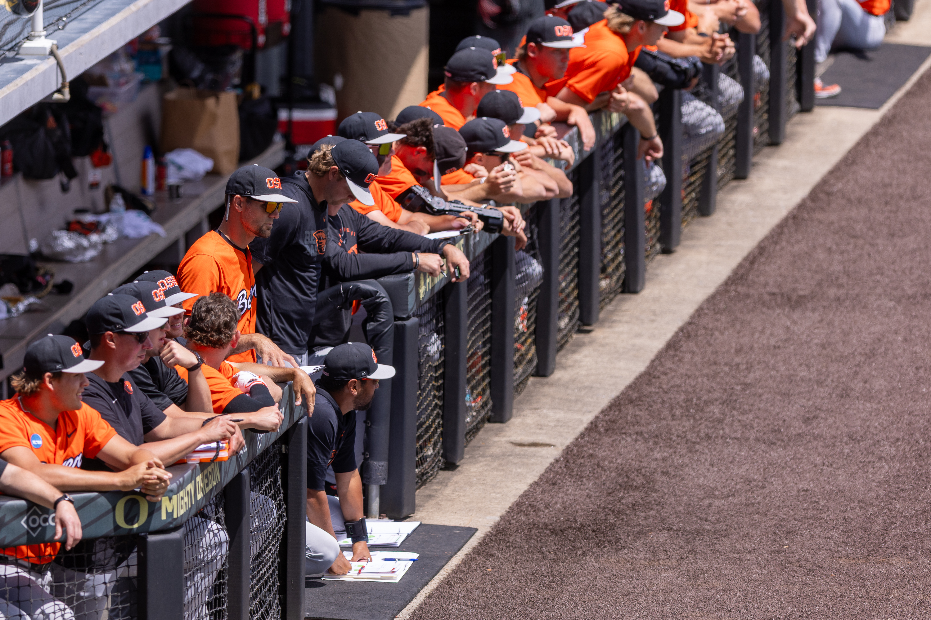 oregon state baseball - oregonlive.com