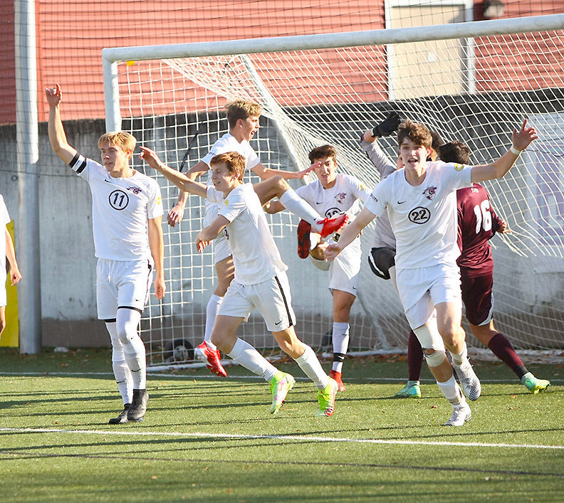 Concord-Carlisle vs Ludlow boys Soccer 11/13/21 - masslive.com