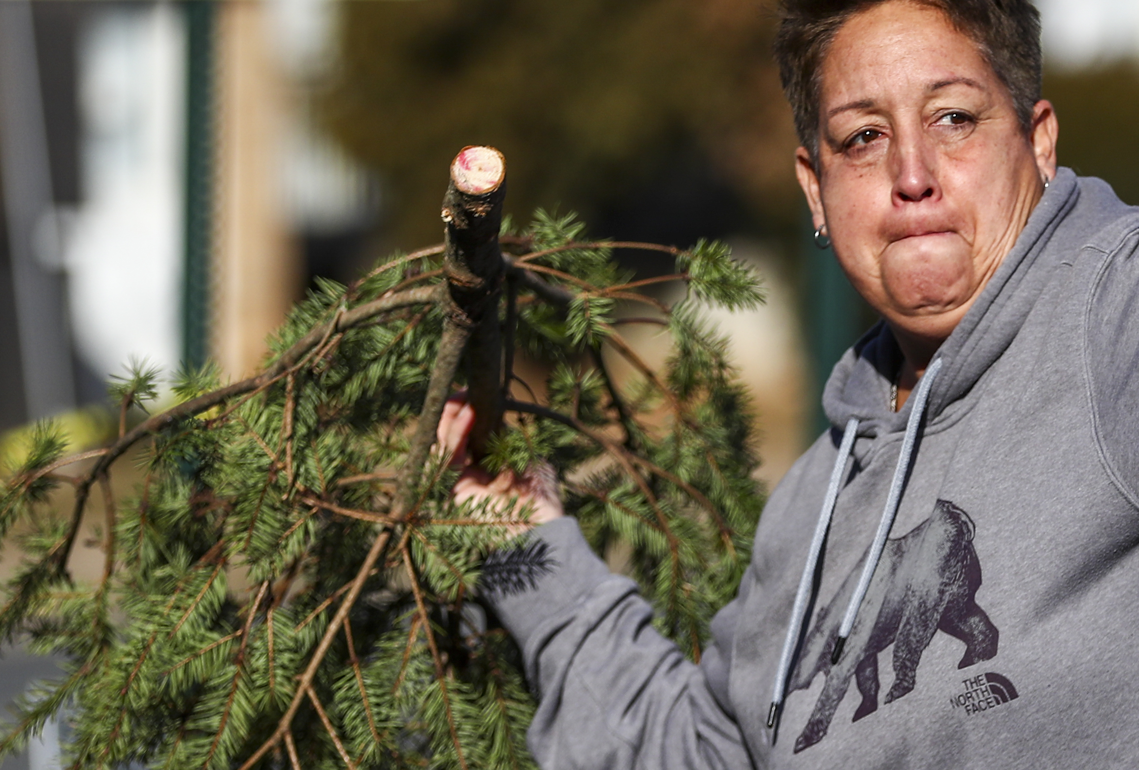 2023 Christmas Tree Toss for Charity in Bethlehem - lehighvalleylive.com