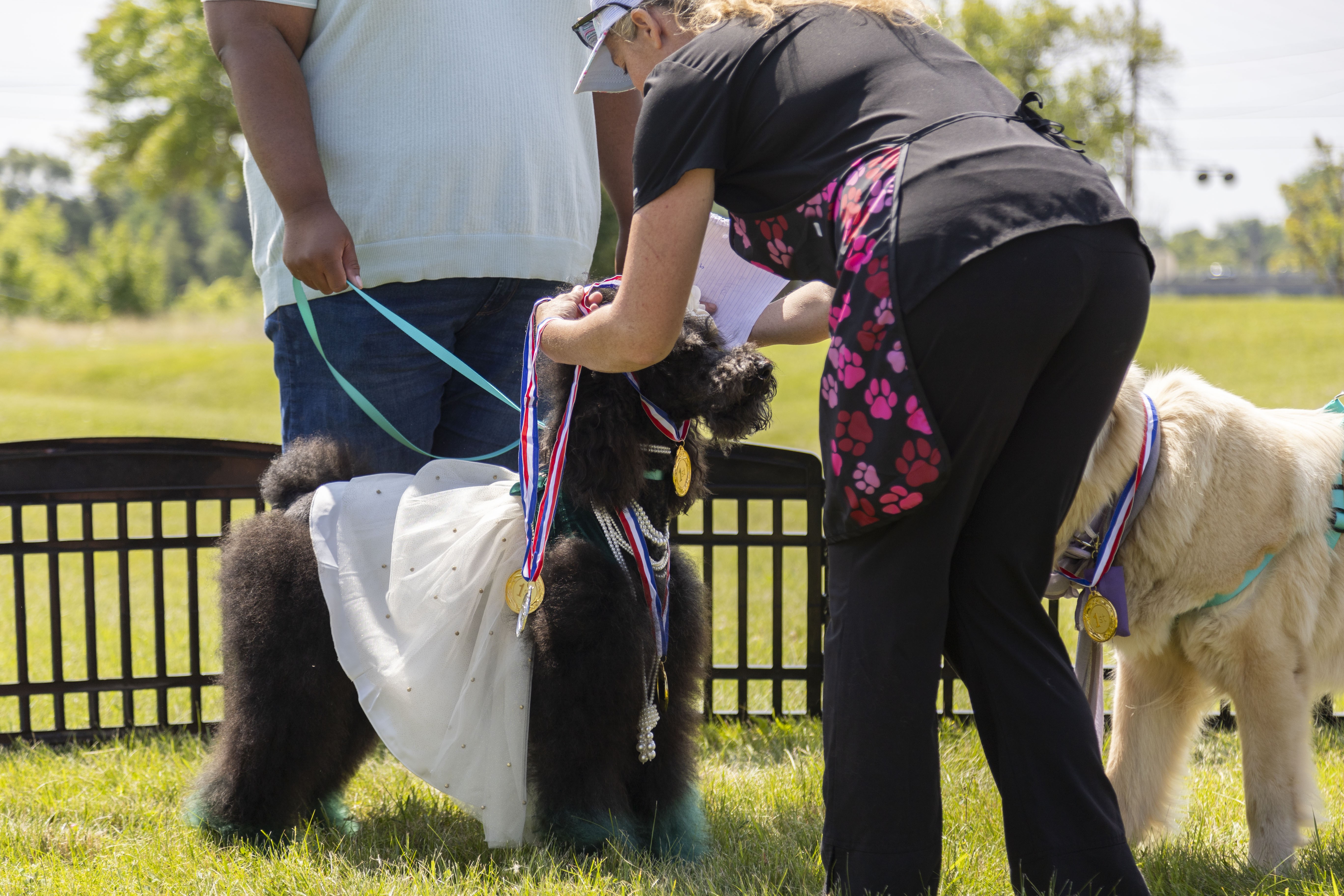 Posh Paws Grooming Boutique hosts first Dog Pageant - mlive.com