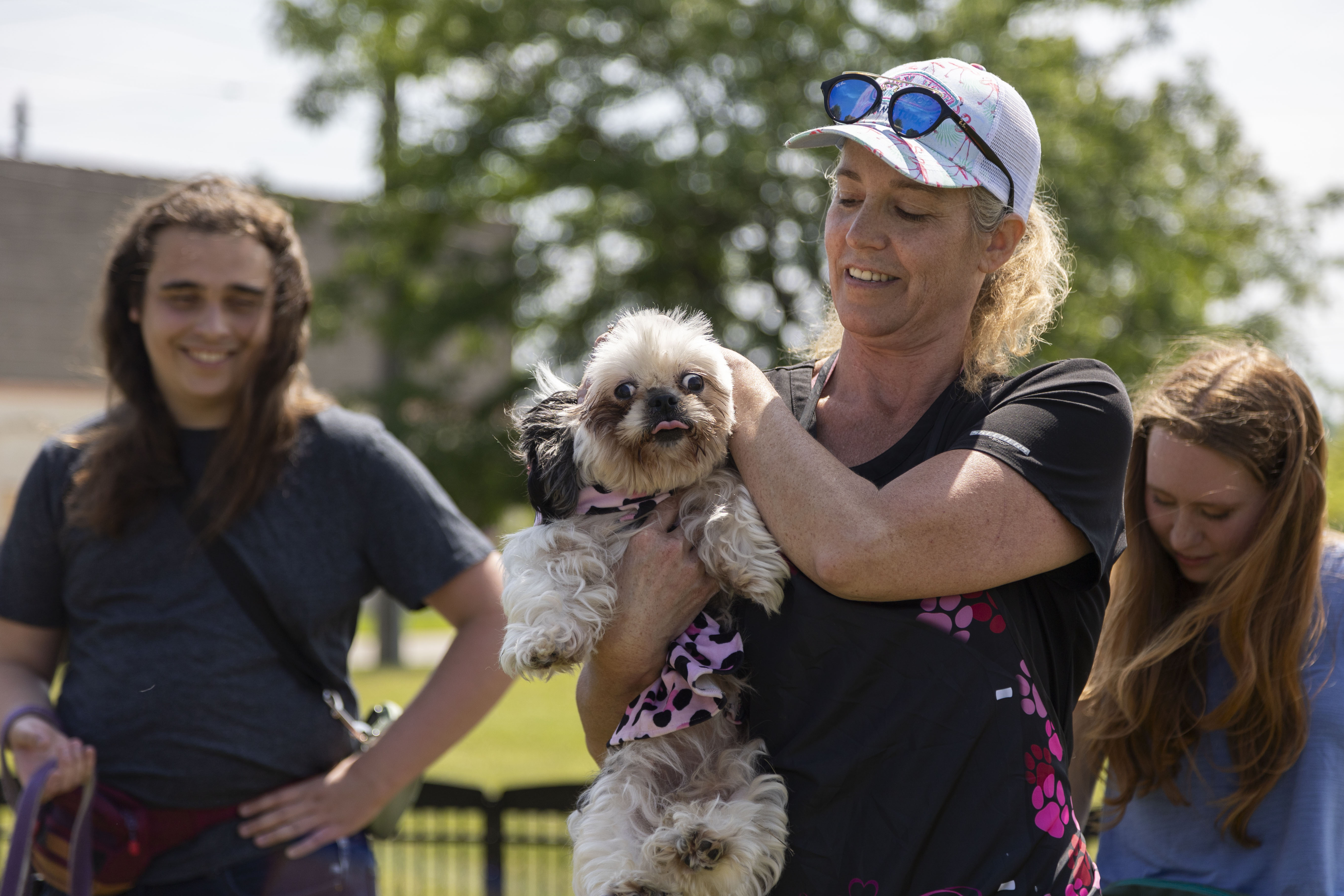 Posh Paws Grooming Boutique hosts first Dog Pageant - mlive.com