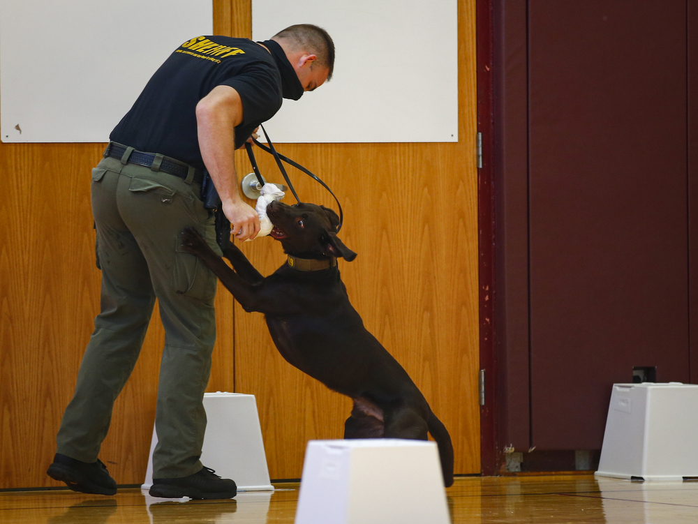 20th Regional Explosives Detection Dog Initiative - lehighvalleylive.com
