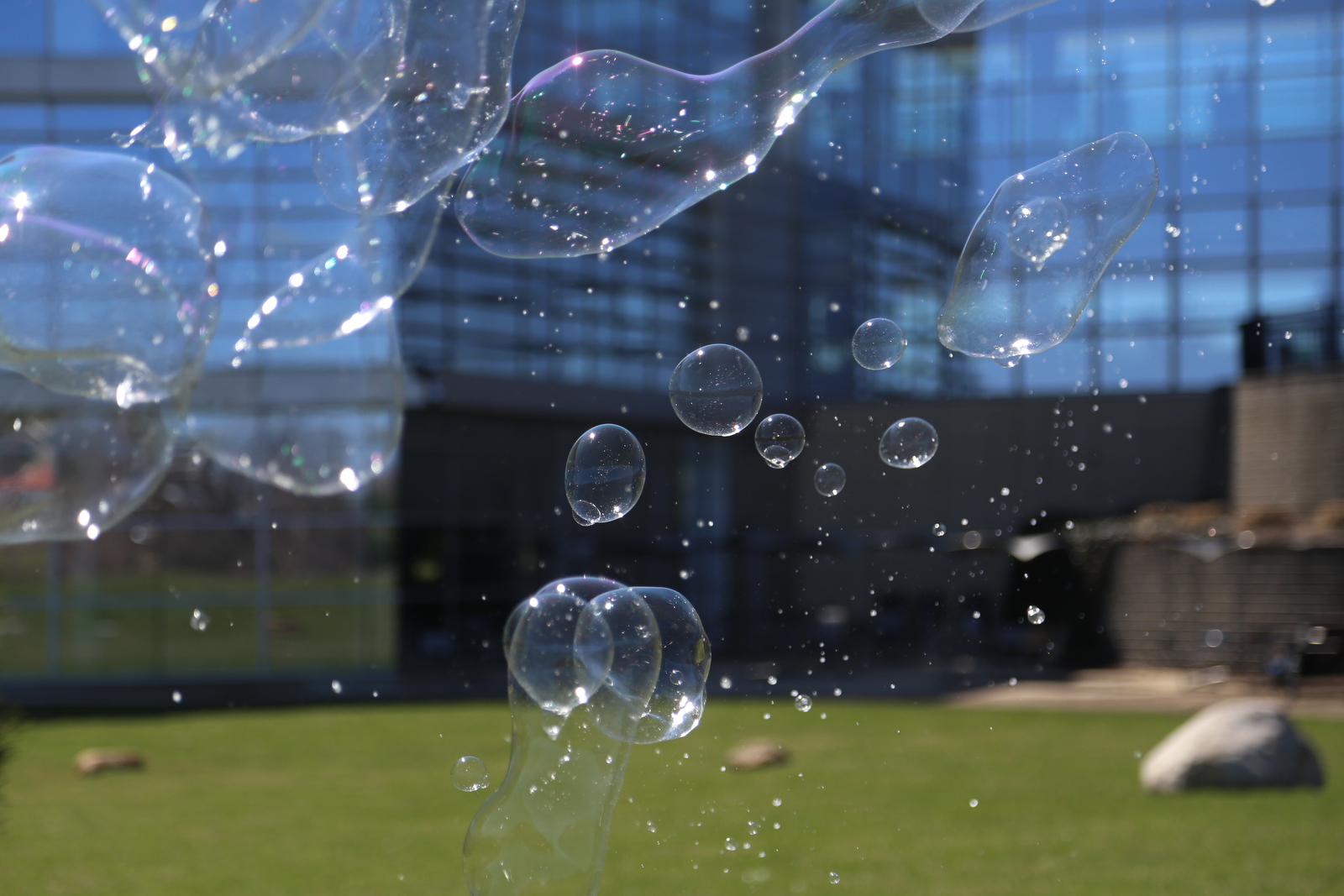Bubbles, bubbles everywhere - cleveland.com