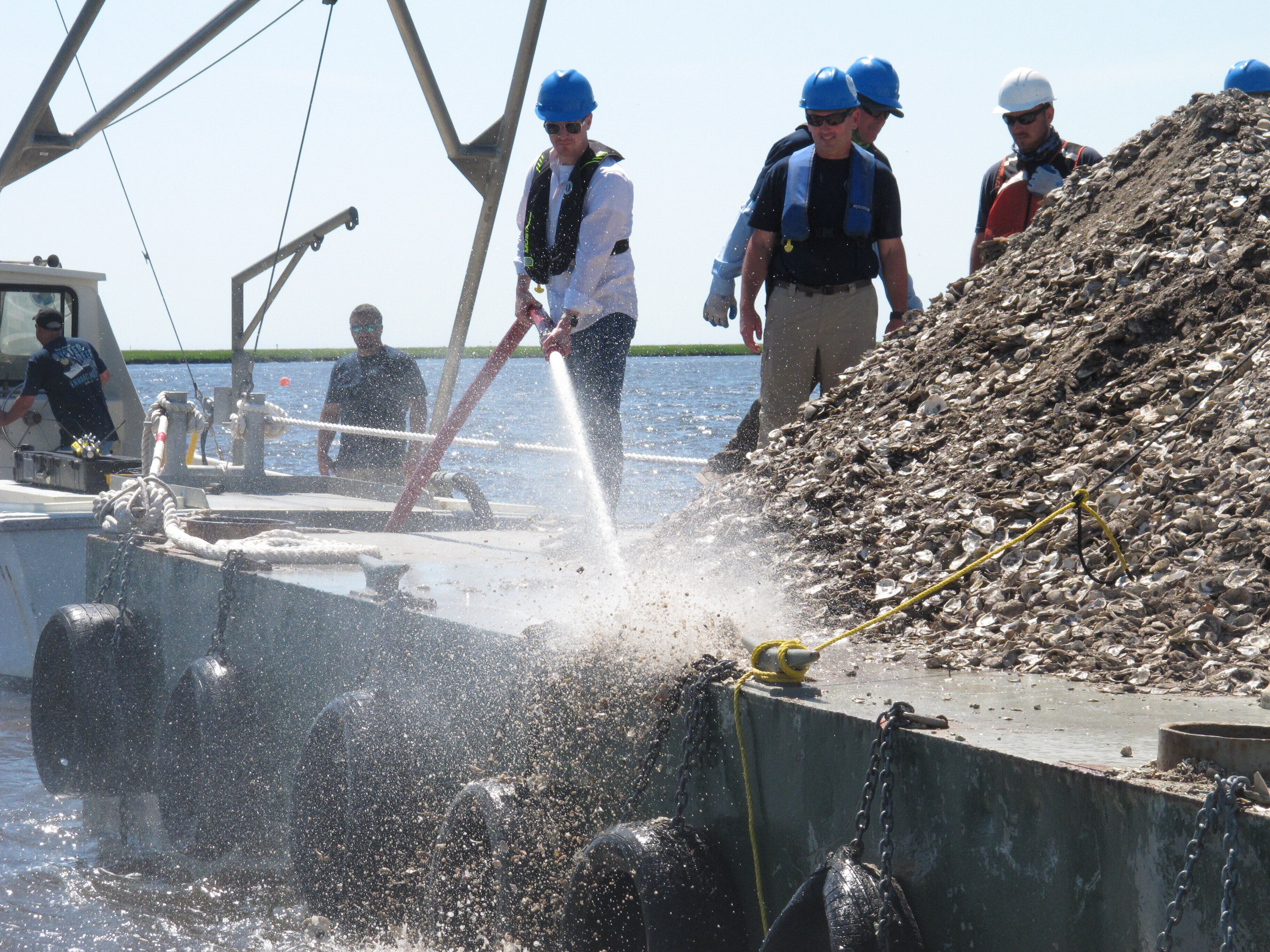 Discarded shells from restaurants help establish new oyster colonies ...