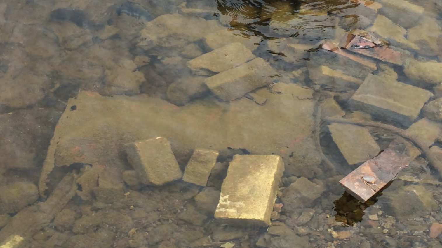 EPA studies drum cleanup in Torch Lake - mlive.com