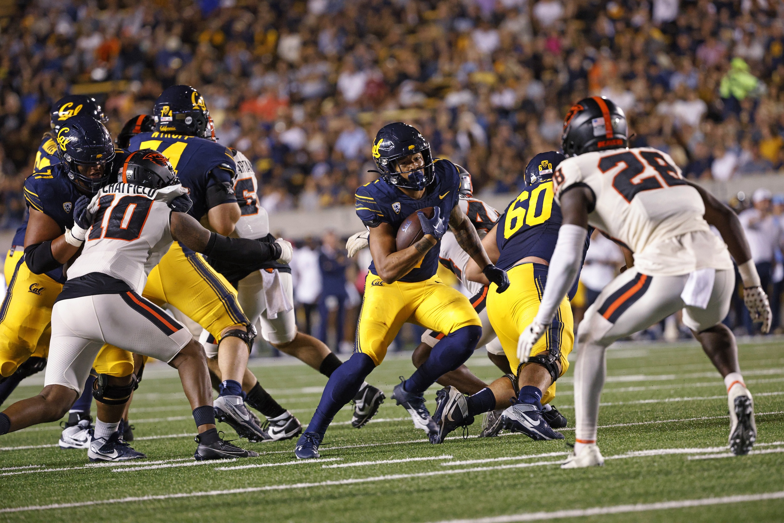 Oregon State Beavers football vs. Cal Bears: Oct. 7, 2023 - oregonlive.com