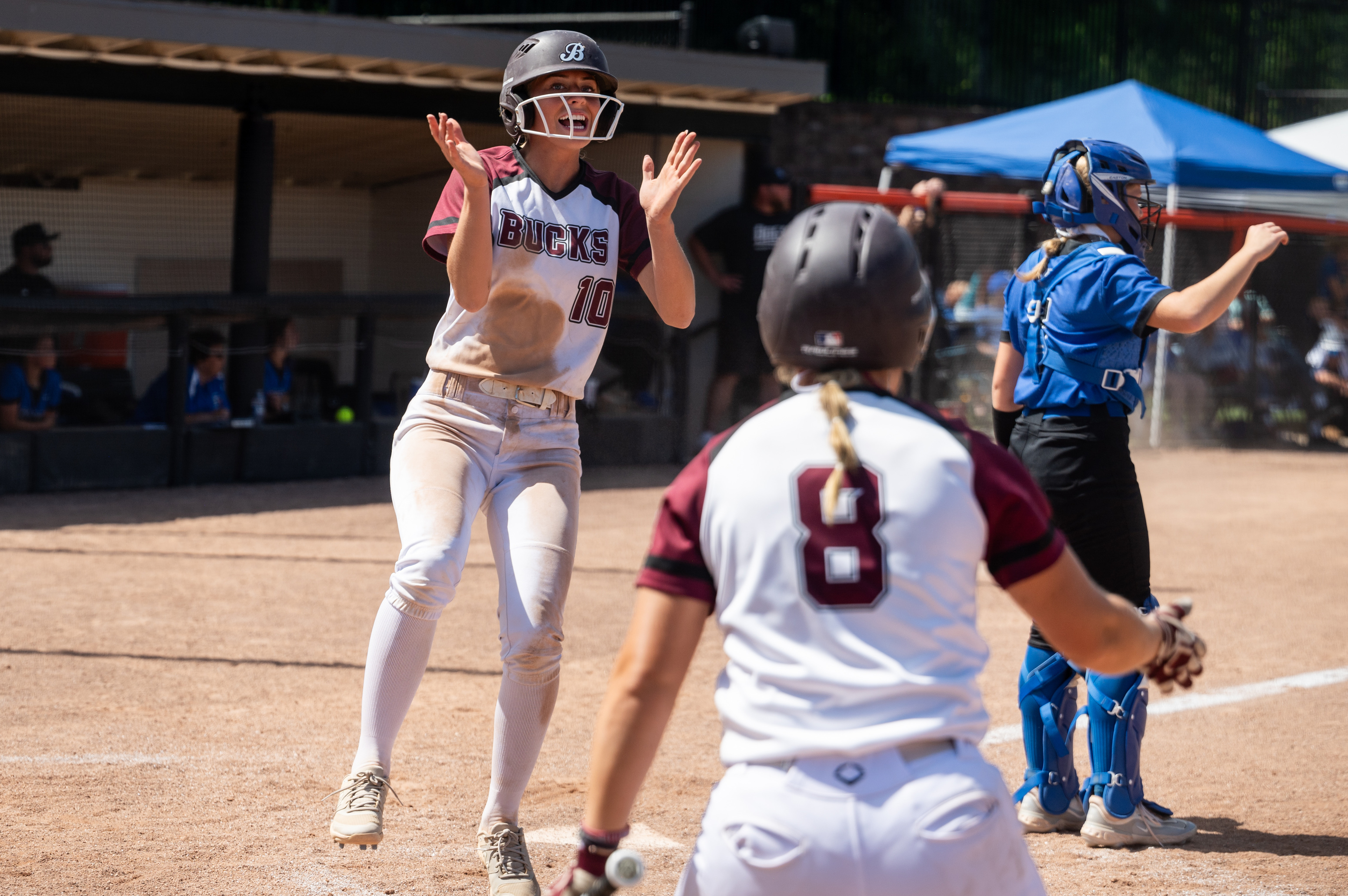 Buchanan's late rally secures MHSAA D3 softball quarterfinal over ...