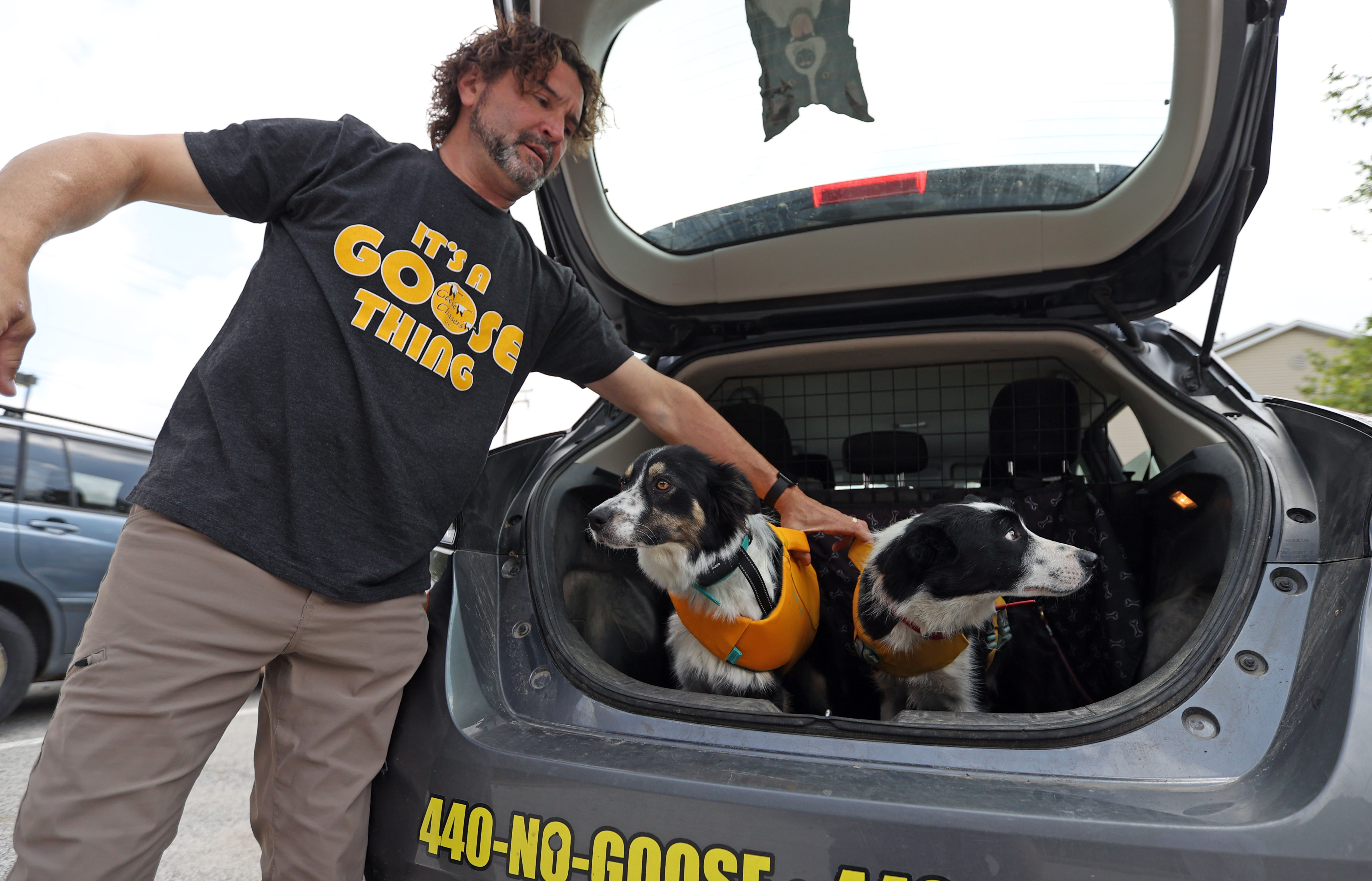 Geese Chasers clear out geese from area land，June 14，2023 - cleveland.com