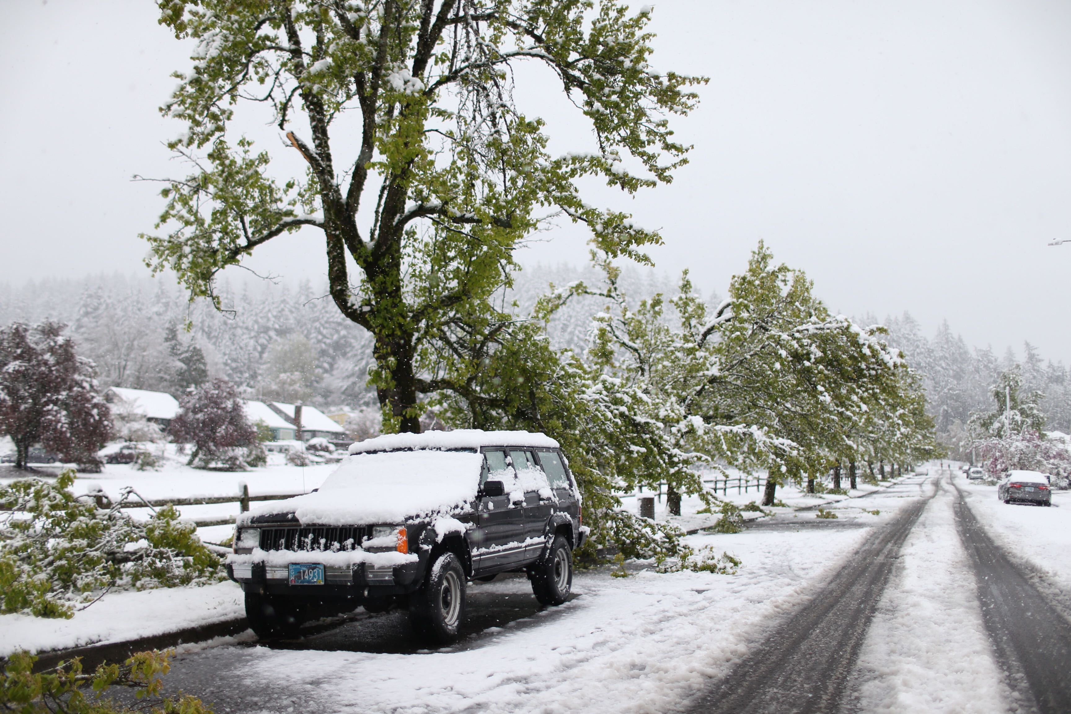 Portland snow April 11, 2022 - oregonlive.com