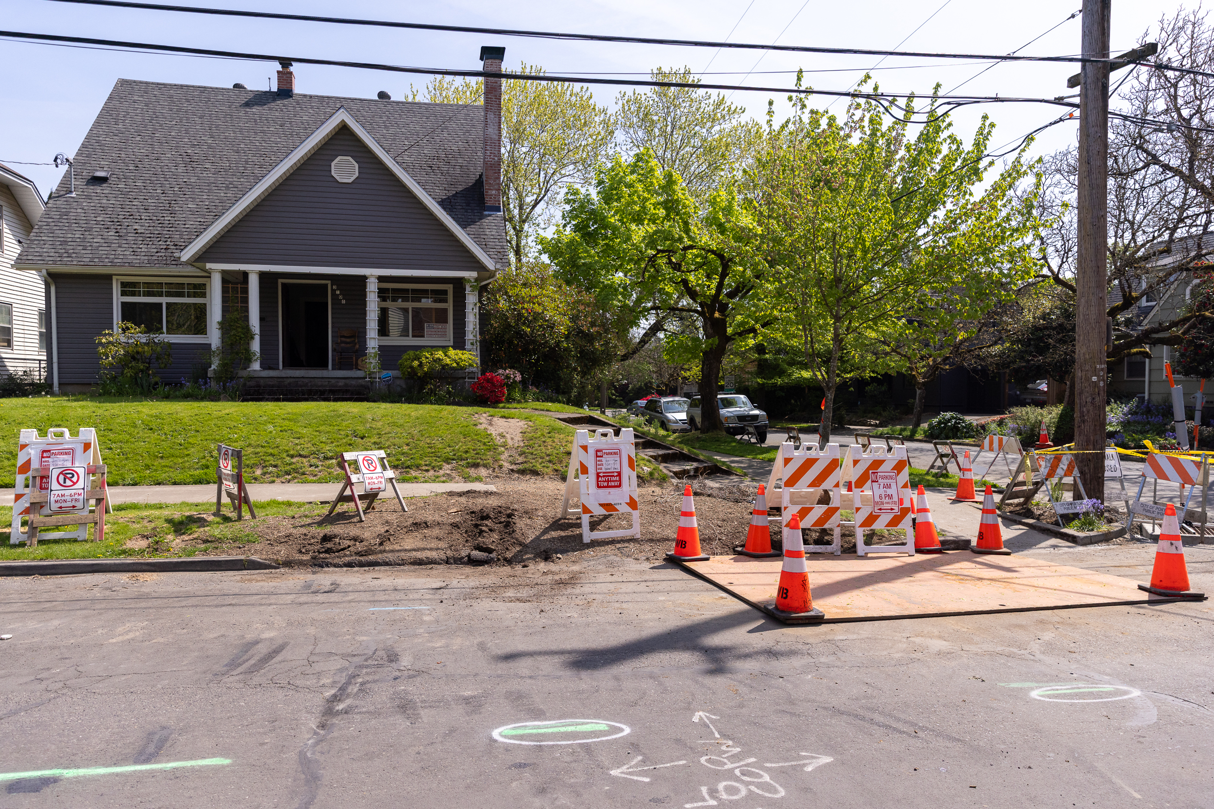 Northeast Portland neighborhood tree removed - oregonlive.com