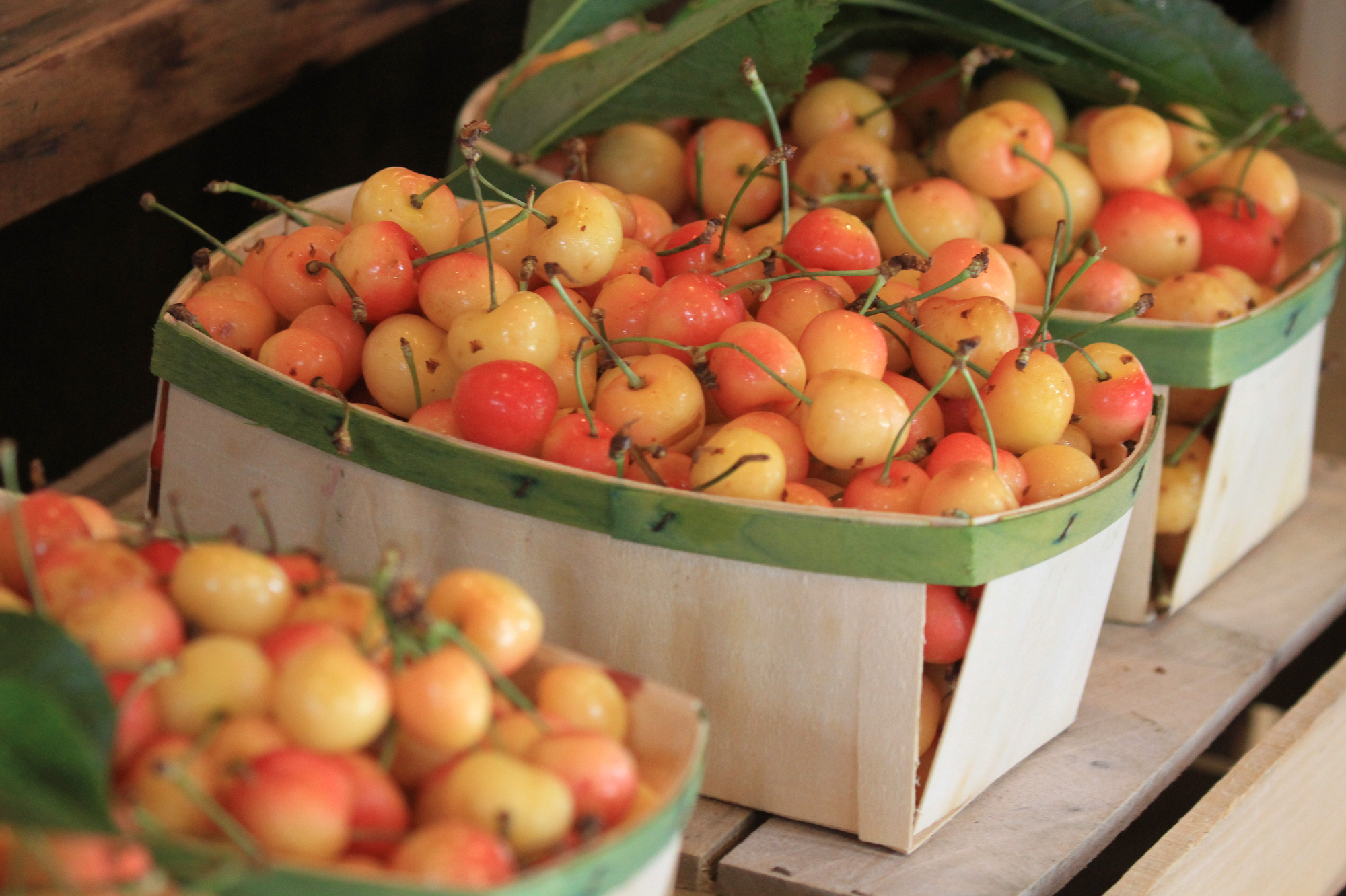 Quarry Hill Orchard in Berlin Heights - cleveland.com