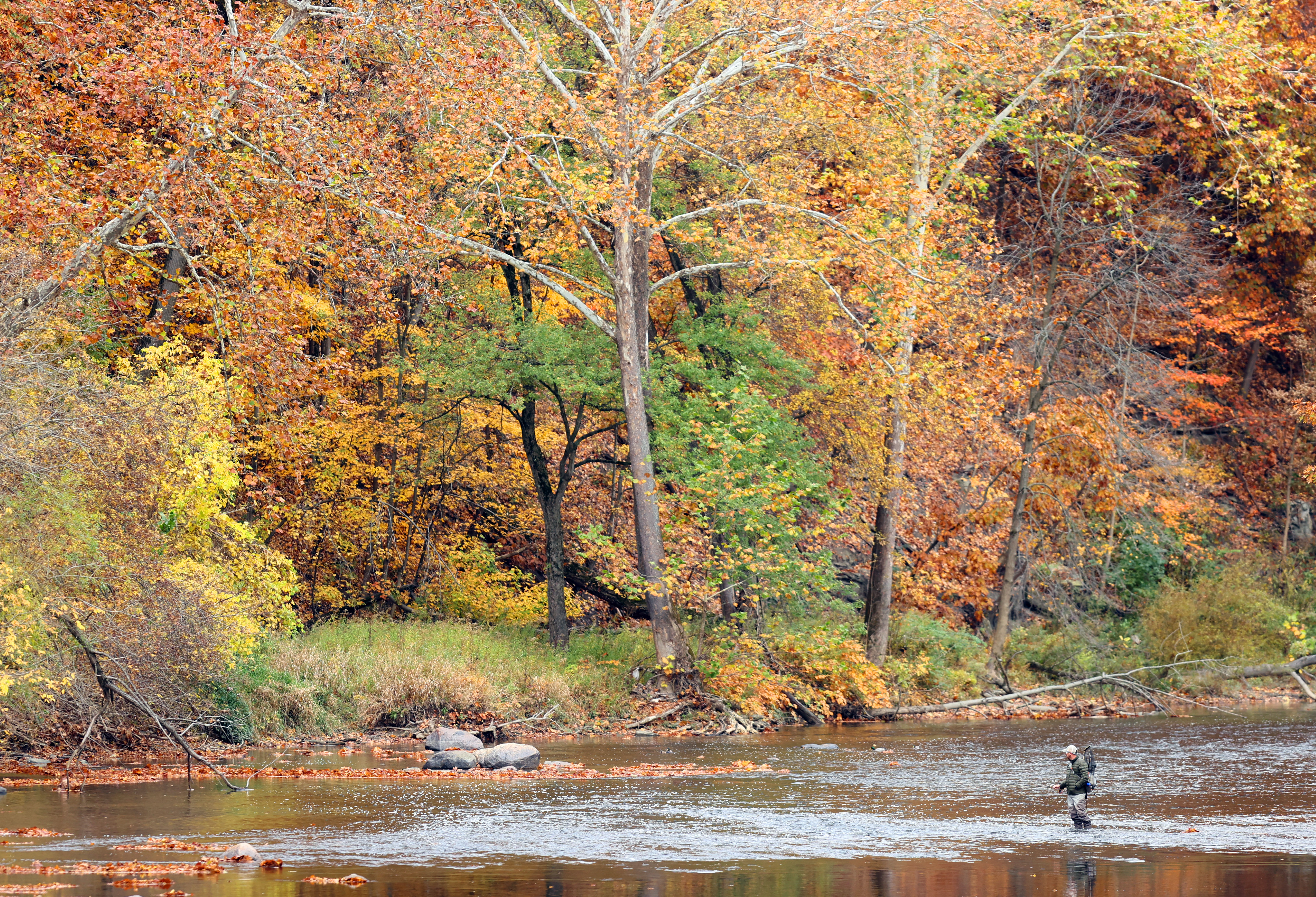 Fall colors are on full display in Northeast Ohio, October 27, 2022 ...