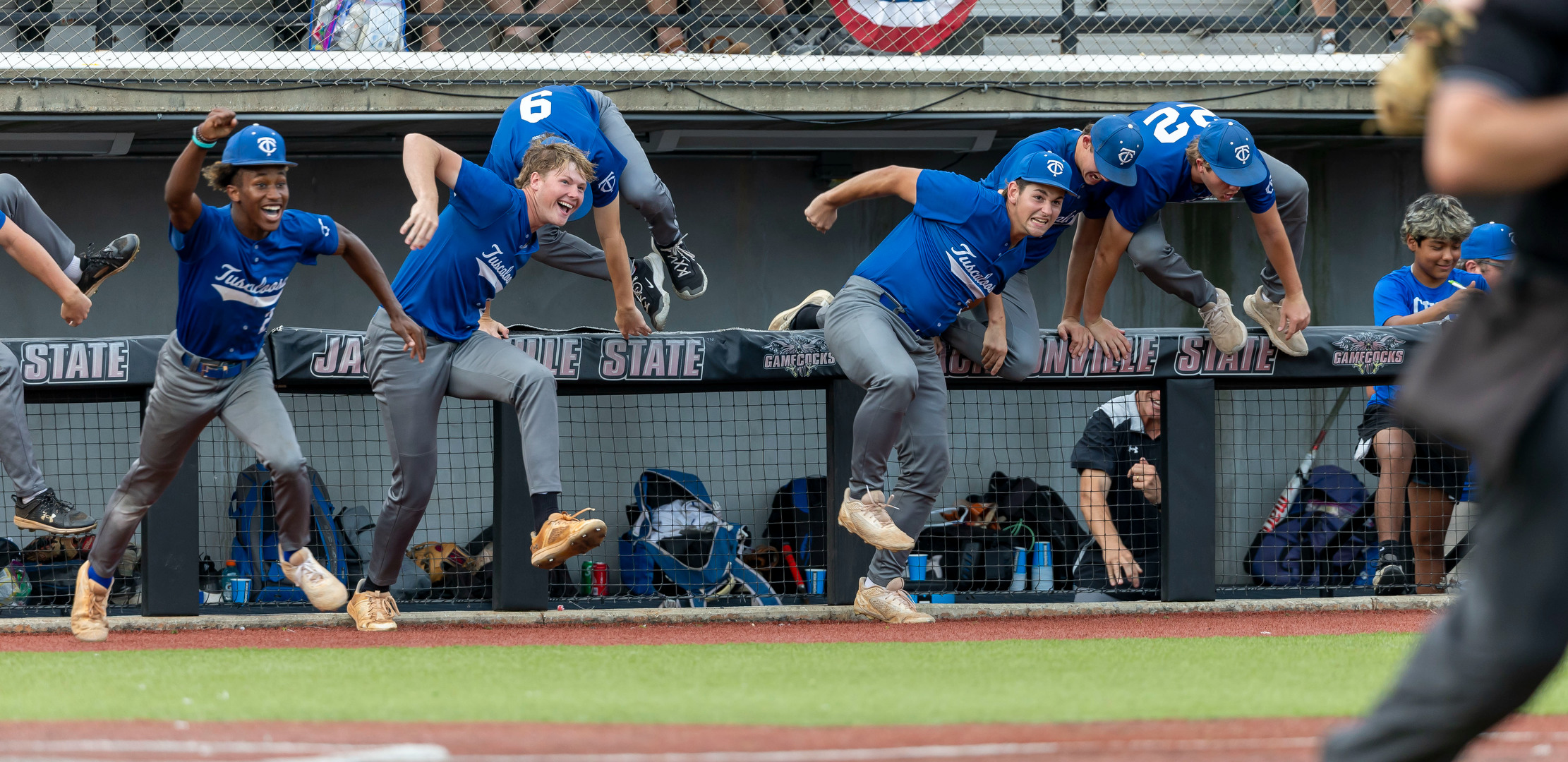 Tuscaloosa County vs. Enterprise Playoff Baseball - al.com