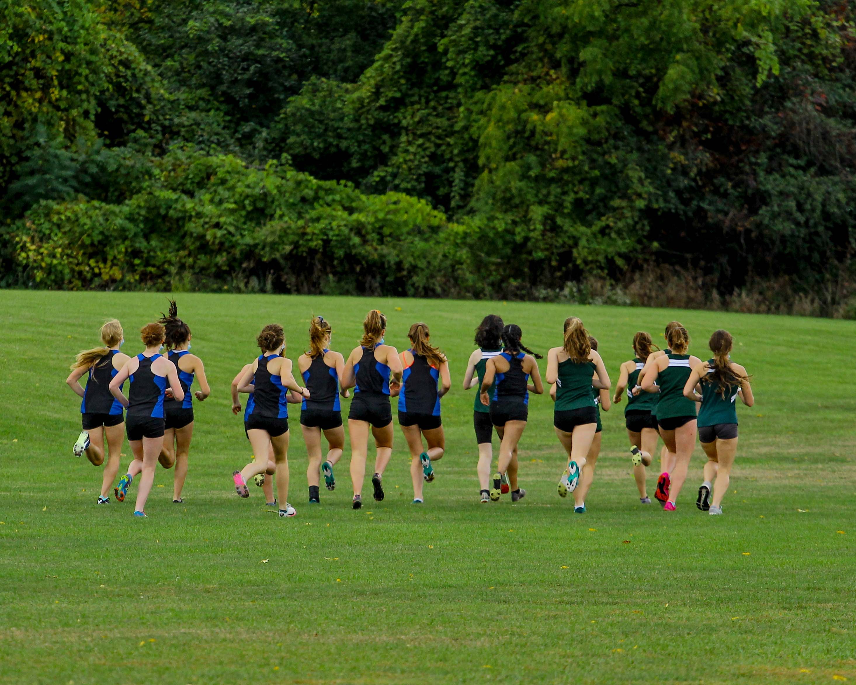 Marcellus vs. Westhill cross country meet - syracuse.com