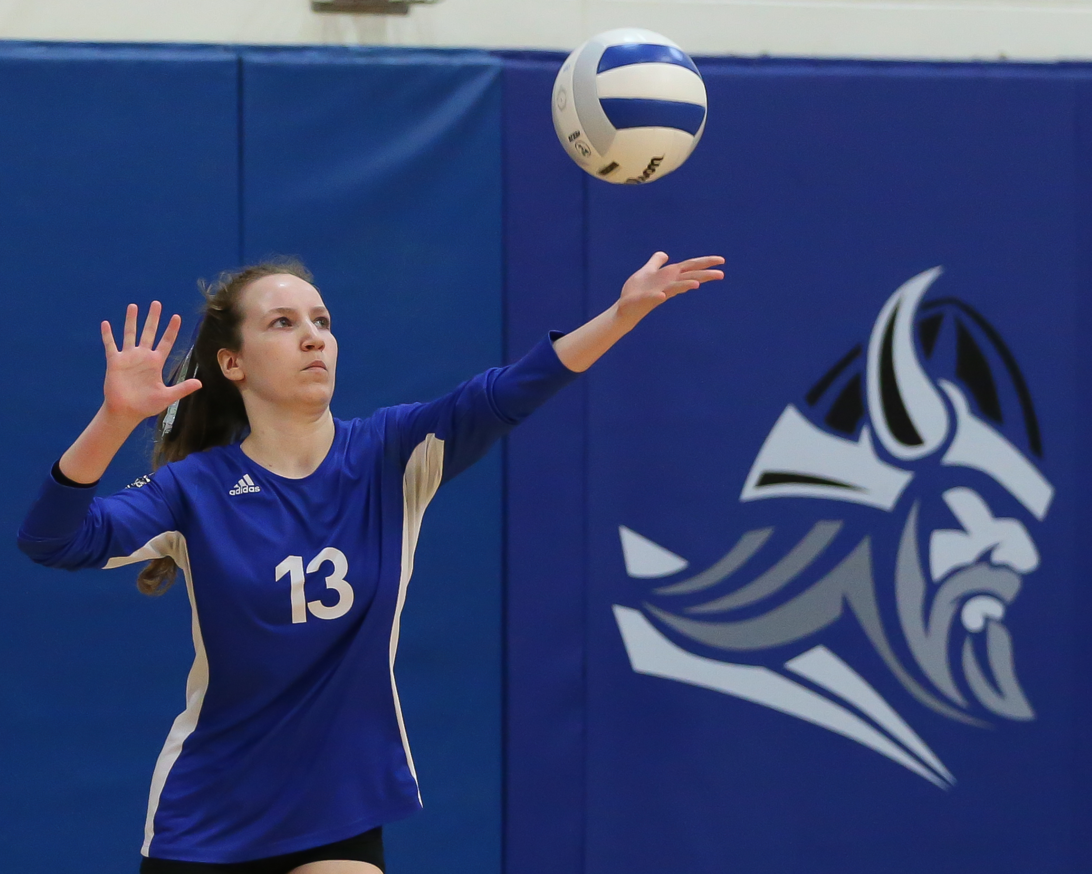 Girls Volleyball: No. 2 Demarest defeats No.11 Roxbury - nj.com
