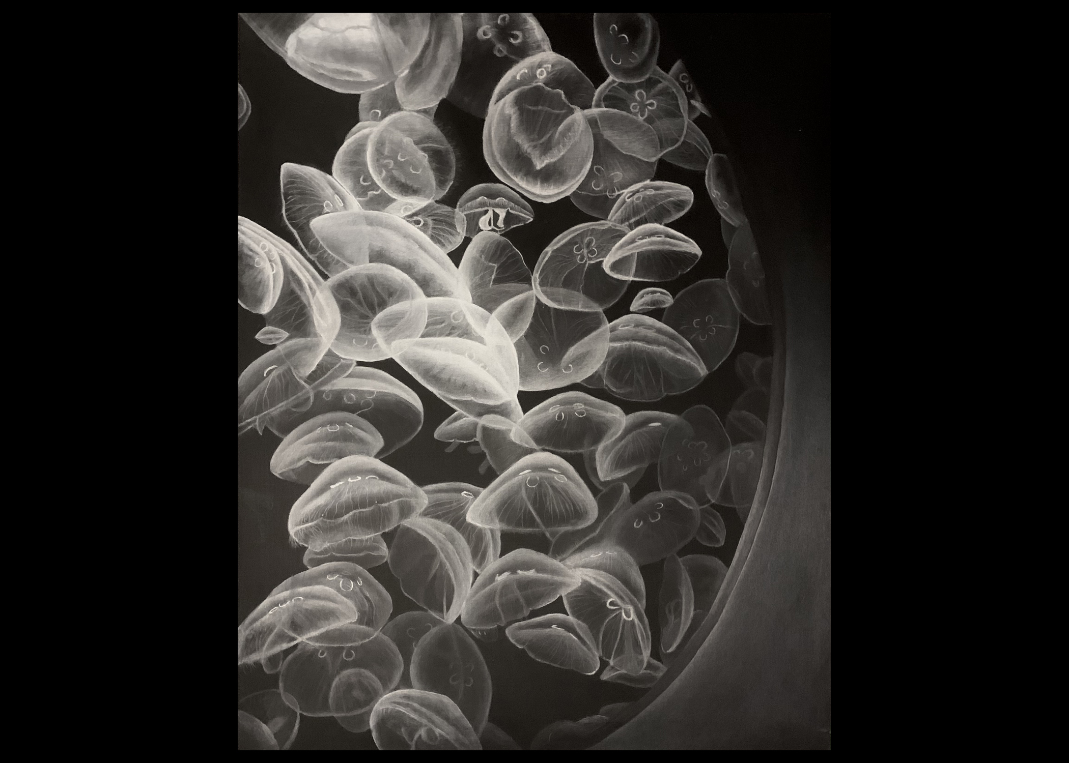 Scholastic Art Awards 2021: Drawing - syracuse.com