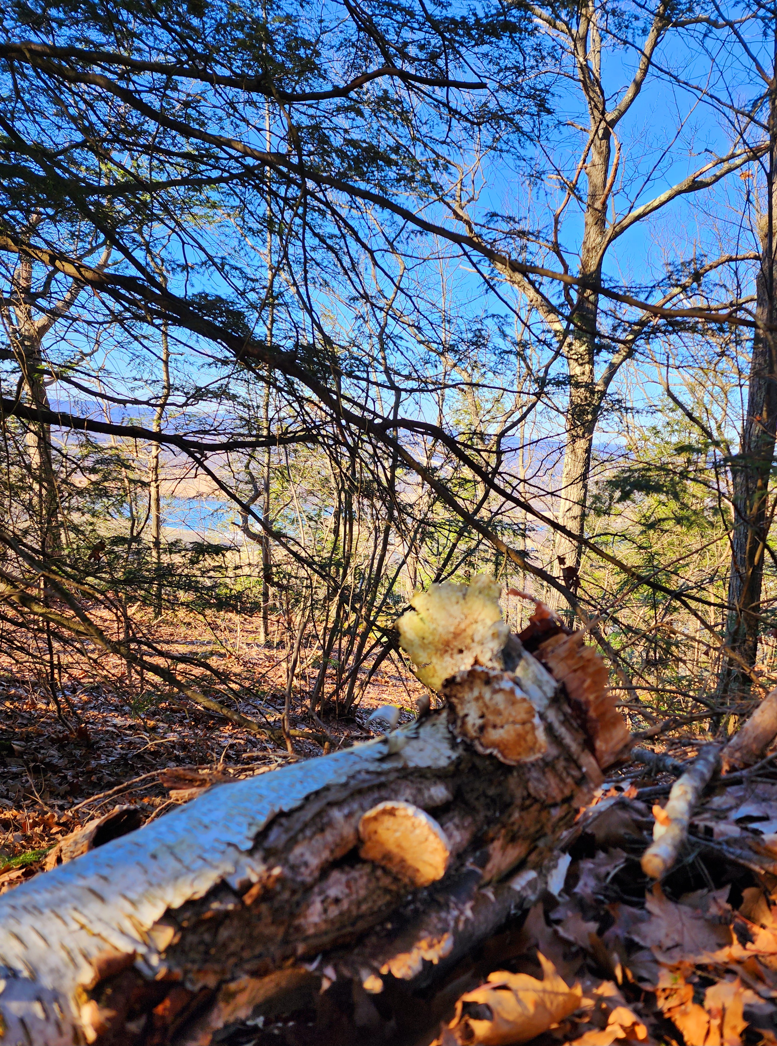 Get the chills on winter hike to Eyrie House Ruins - masslive.com